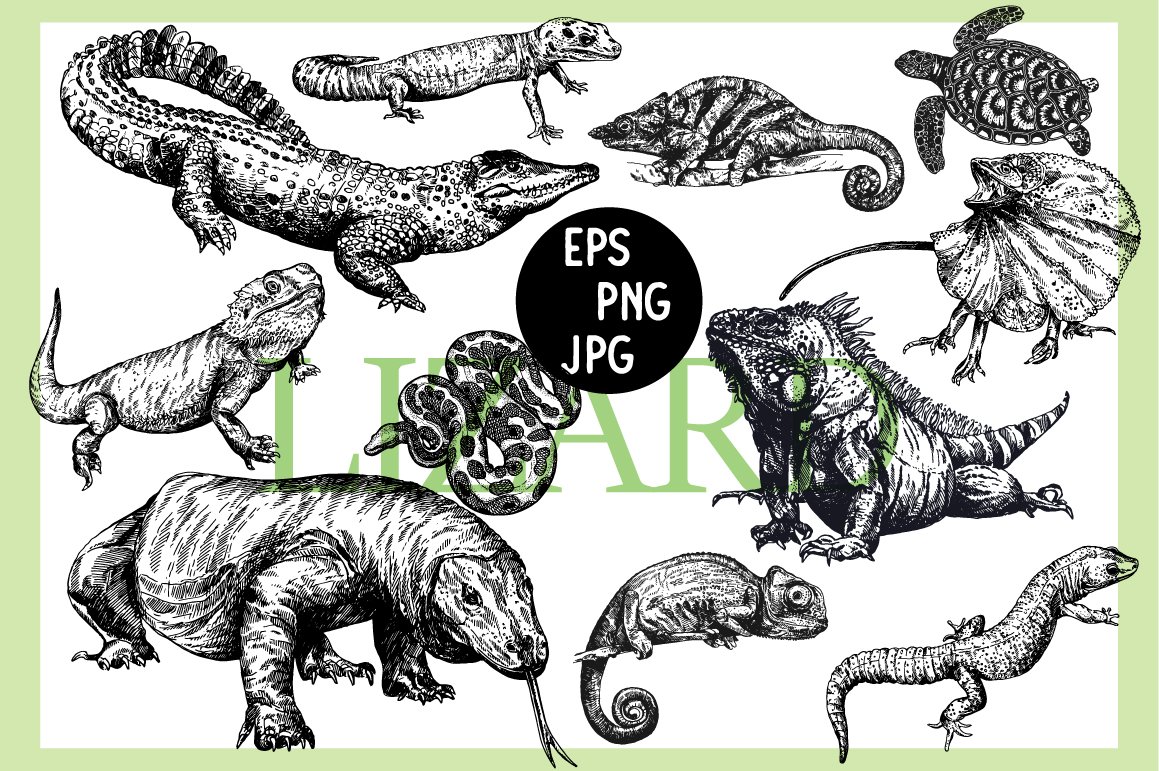 Reptiles (654724) | Illustrations | Design Bundles