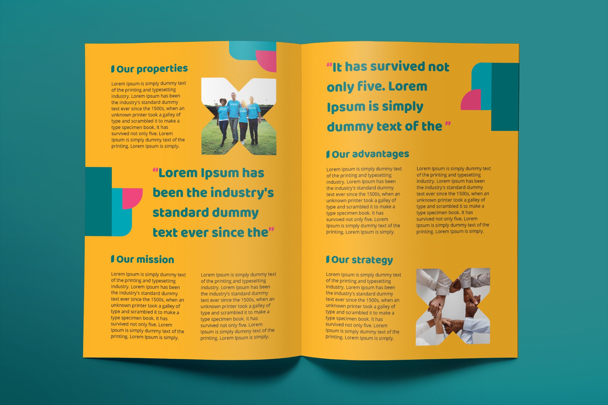 NGO Brochure Bifold (443102) | Brochures | Design Bundles