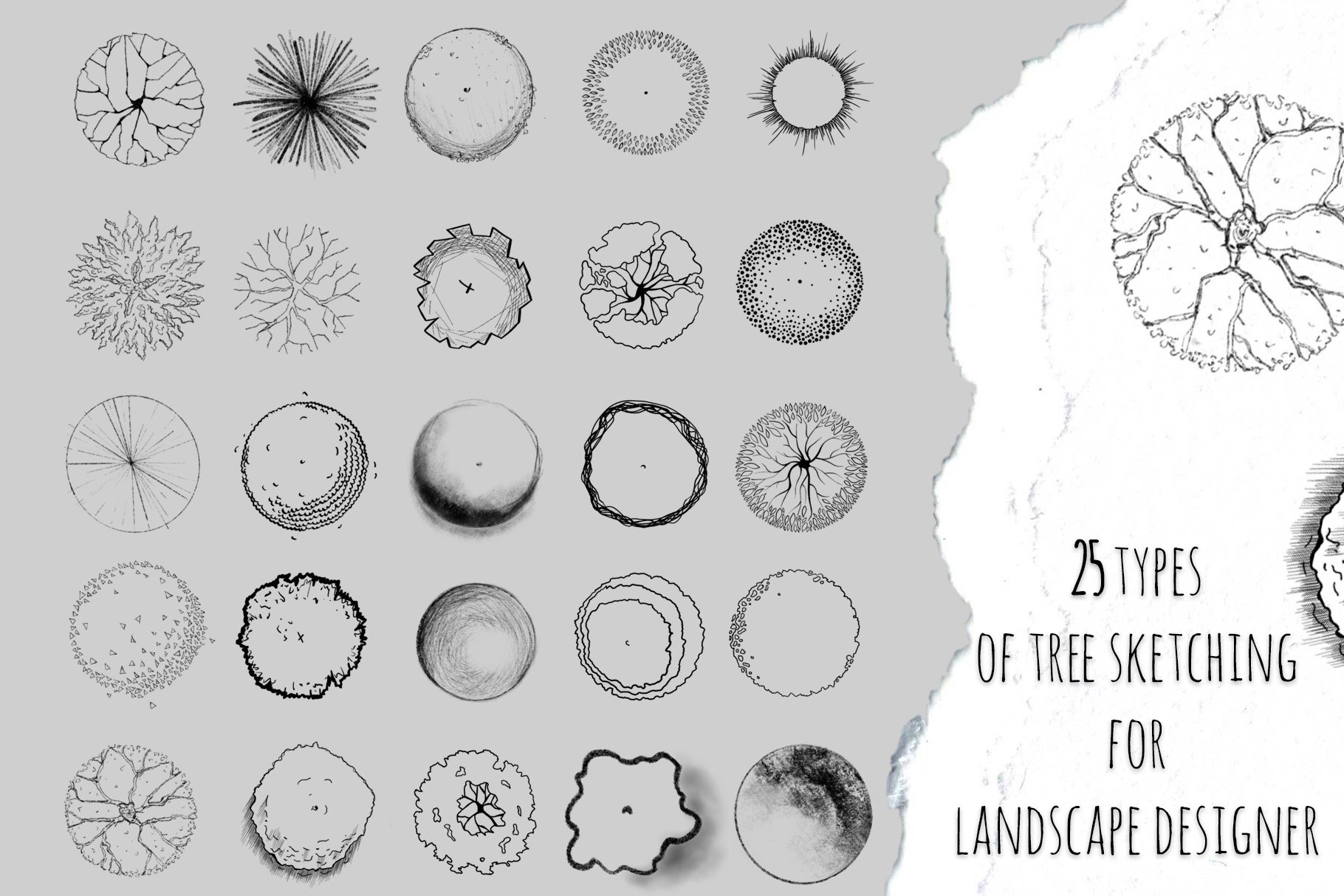 Procreate stamps of trees for landscape design sketches (545829 ...