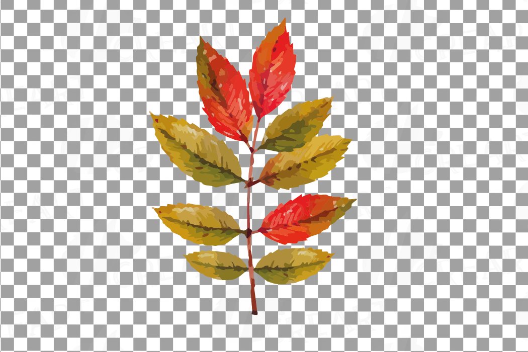 Autumn leafs watercolor clip art pack, watercolor fall frame (134185 ...