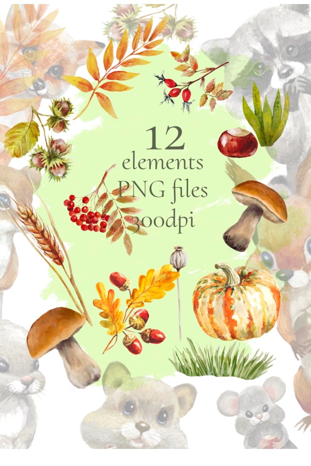 Forest animals watercolor clipart. Woodland baby animals. (929851 ...