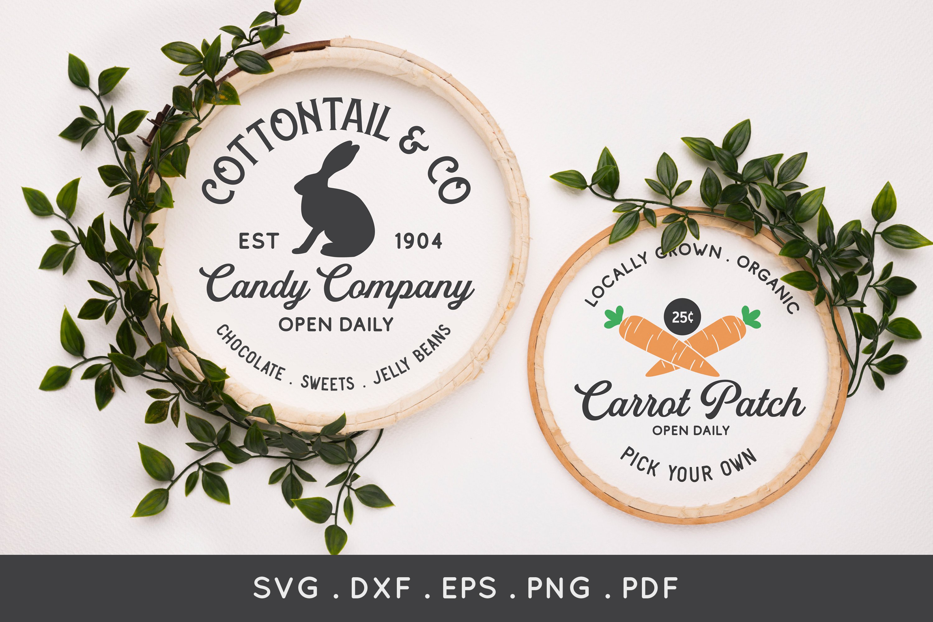 Daily Candy Logo Png