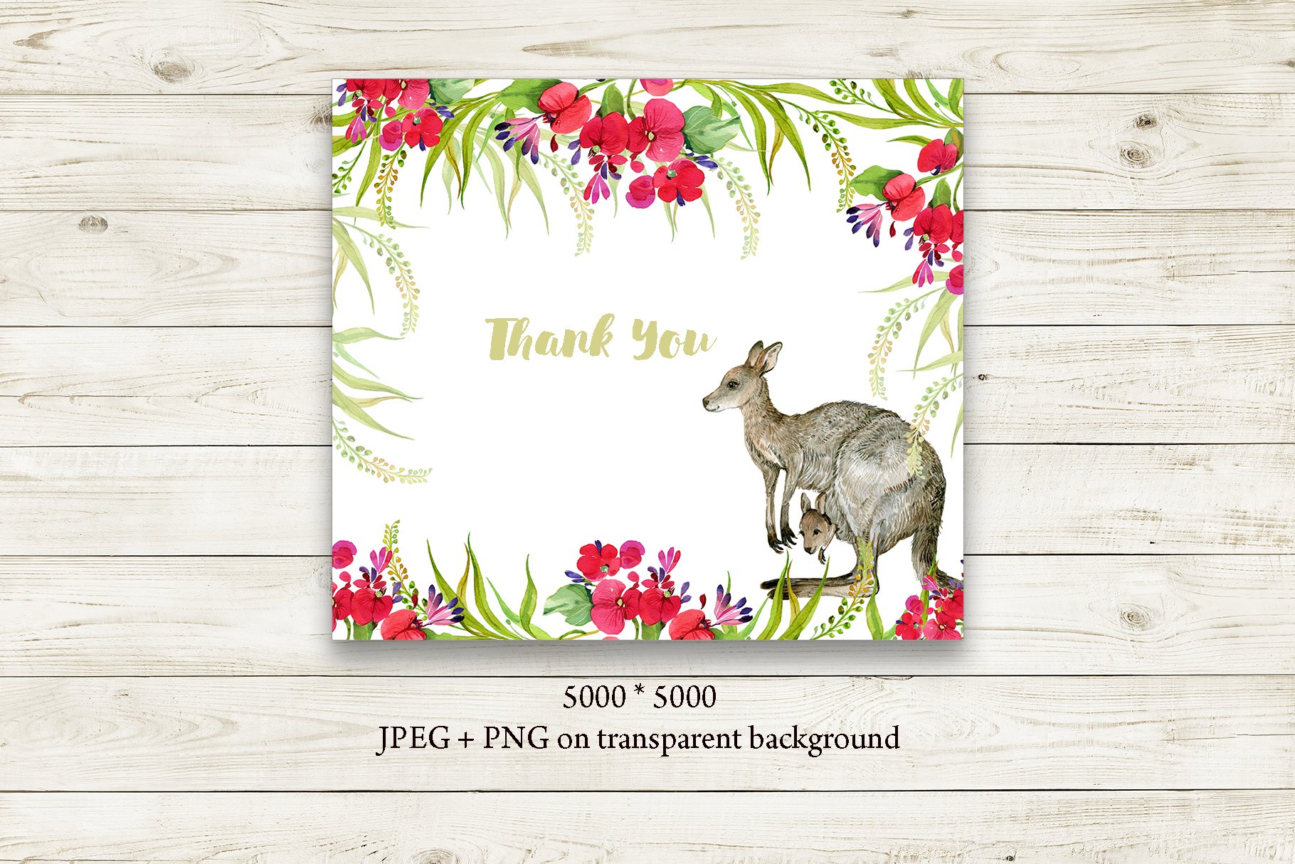 Animals Australia Watercolor (347866) | Illustrations | Design Bundles