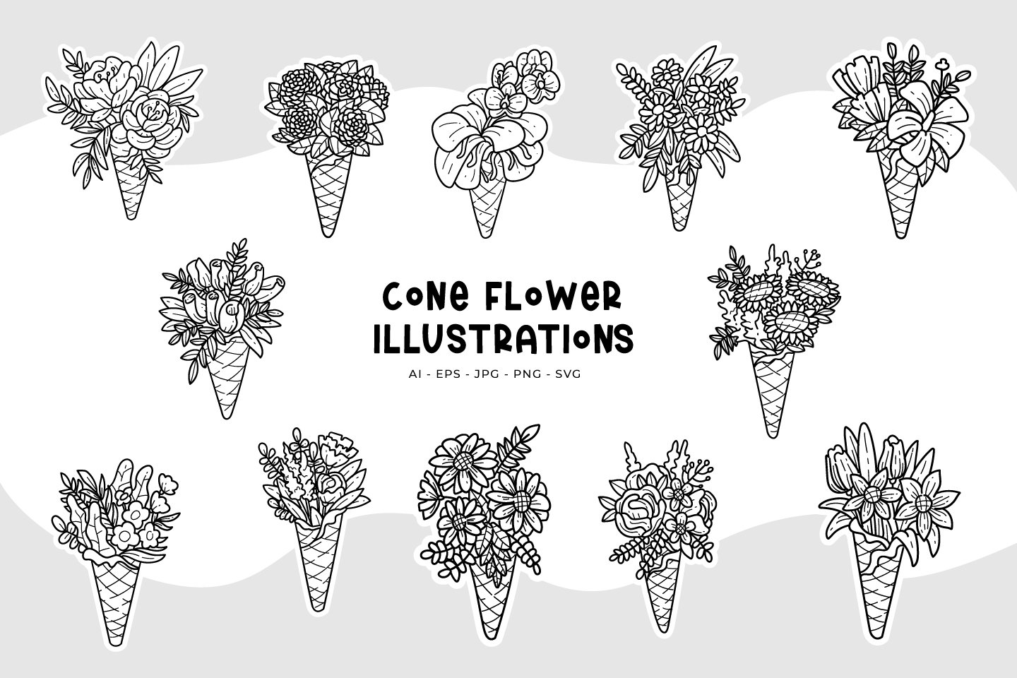 Cone Flower Illustrations