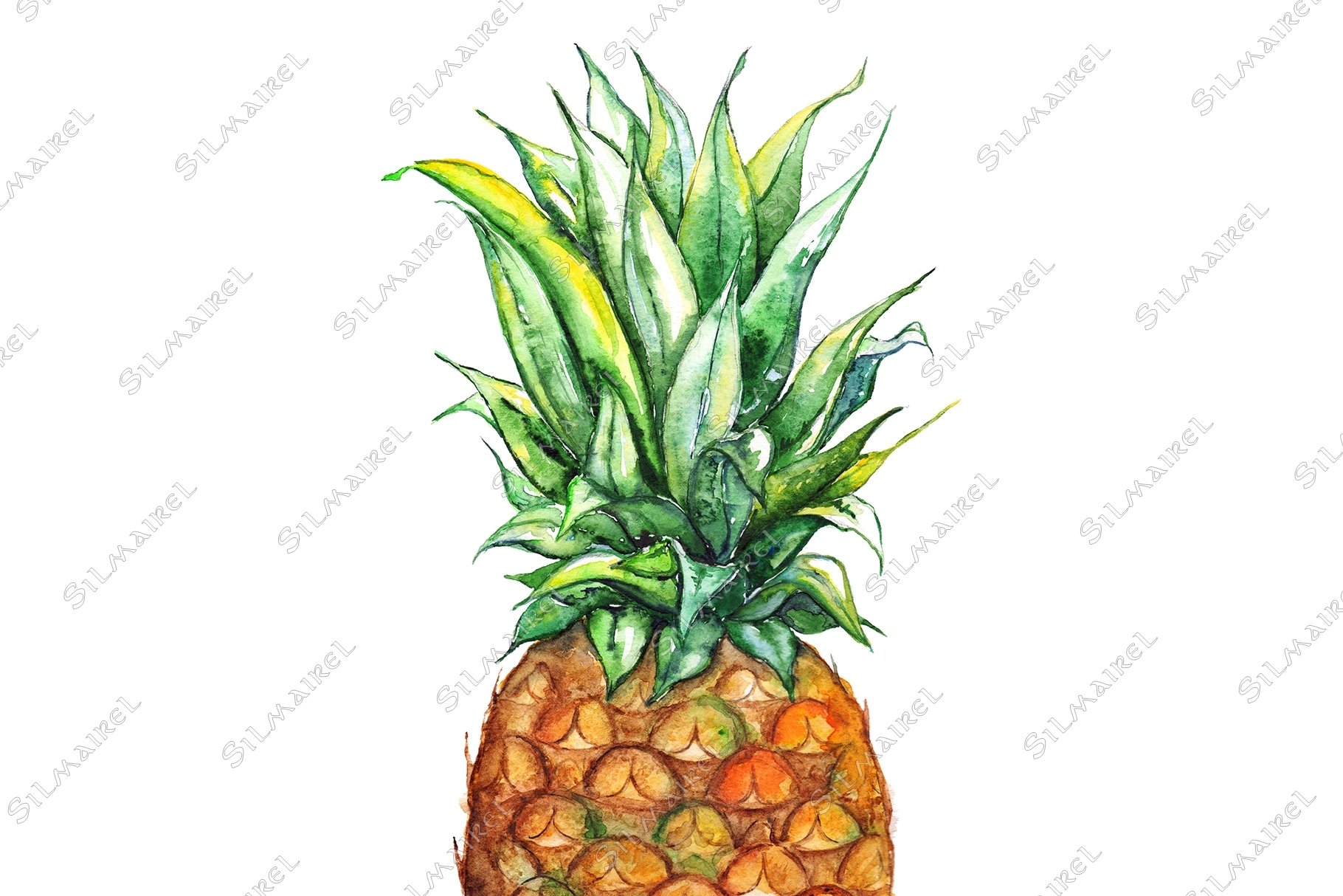 Watercolor pineapple exotic tropical fruit art (806385)
