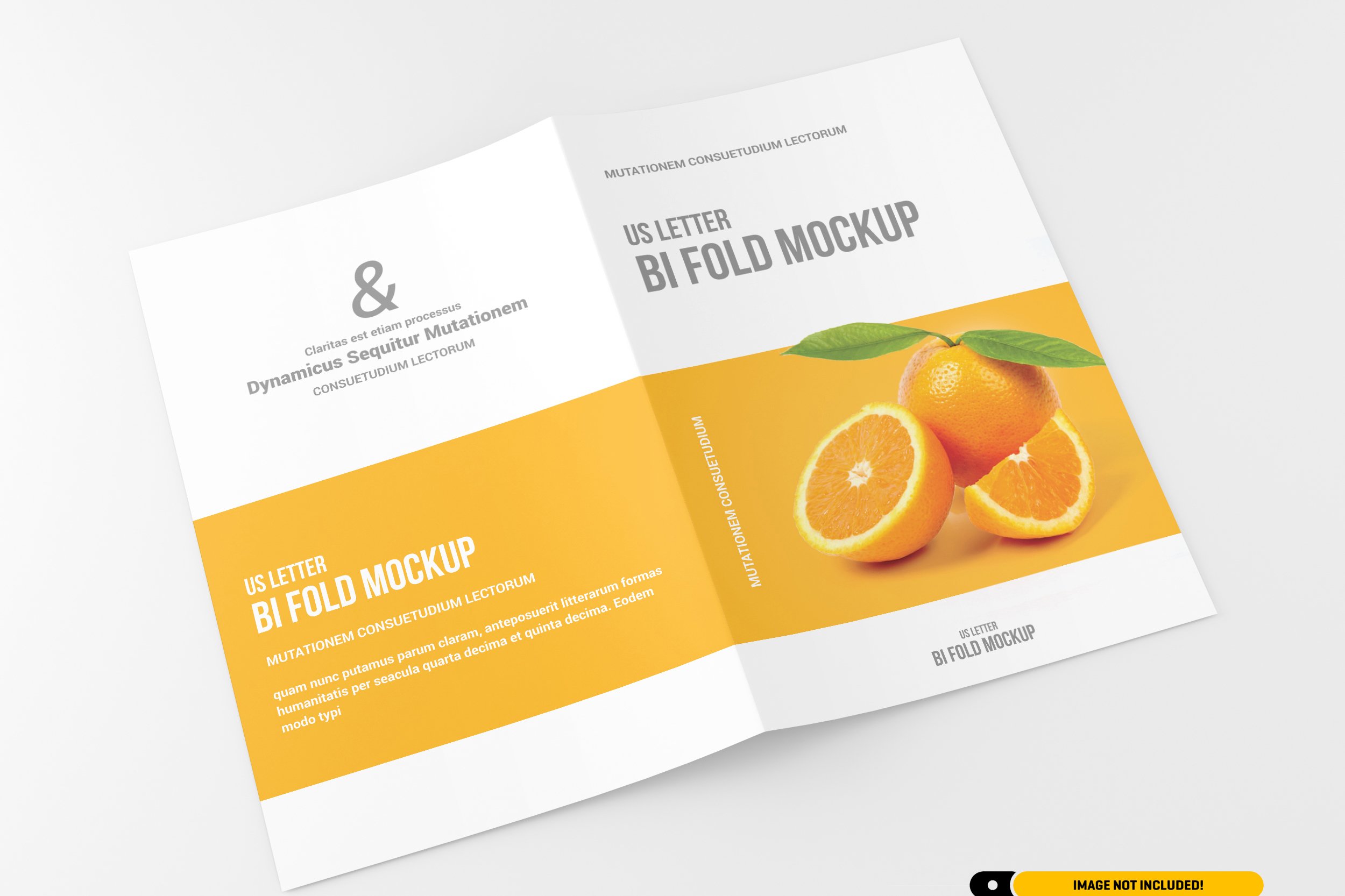 US Letter Bifold Brochure Mockup (361998) | Mock Ups | Design Bundles