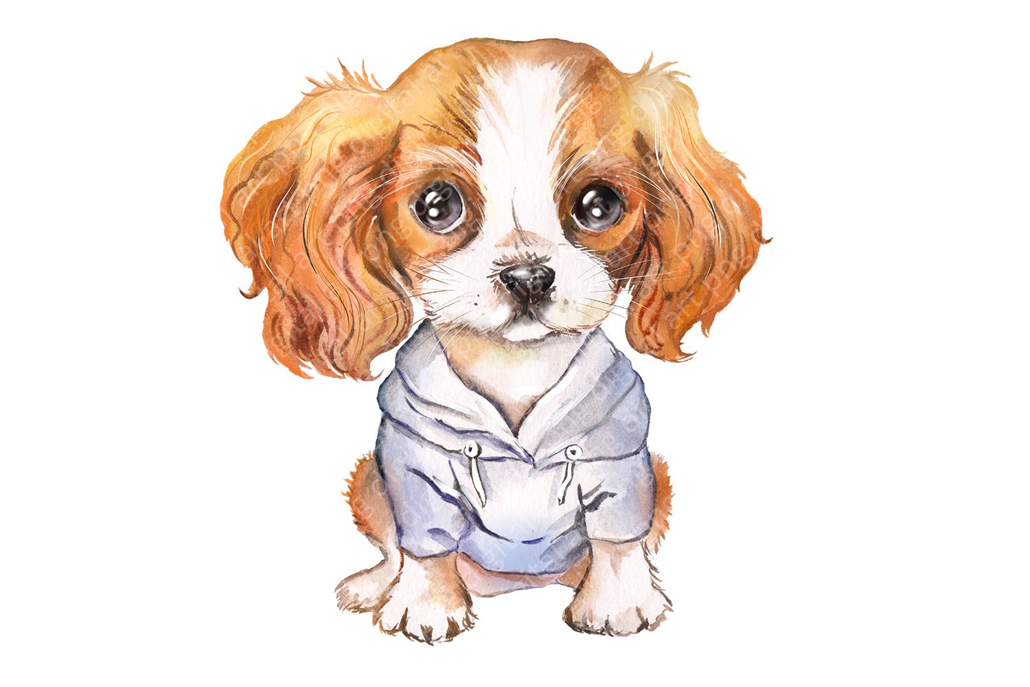 Dog watercolor clipart set. Hand Drawn Dog Breeds. Puppies (656946 ...