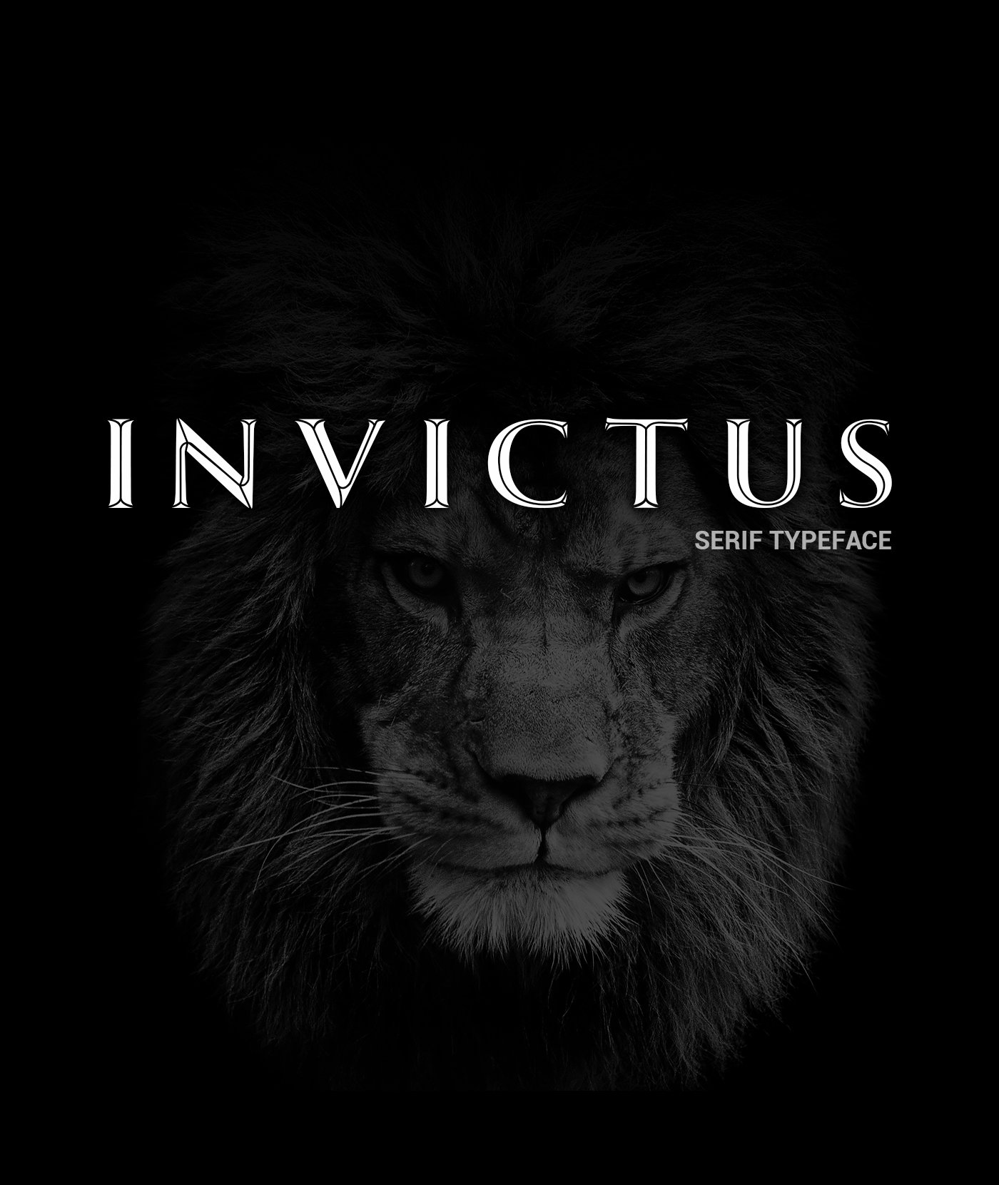 Invictus Serif Typeface (74842) | Display | Font Bundles