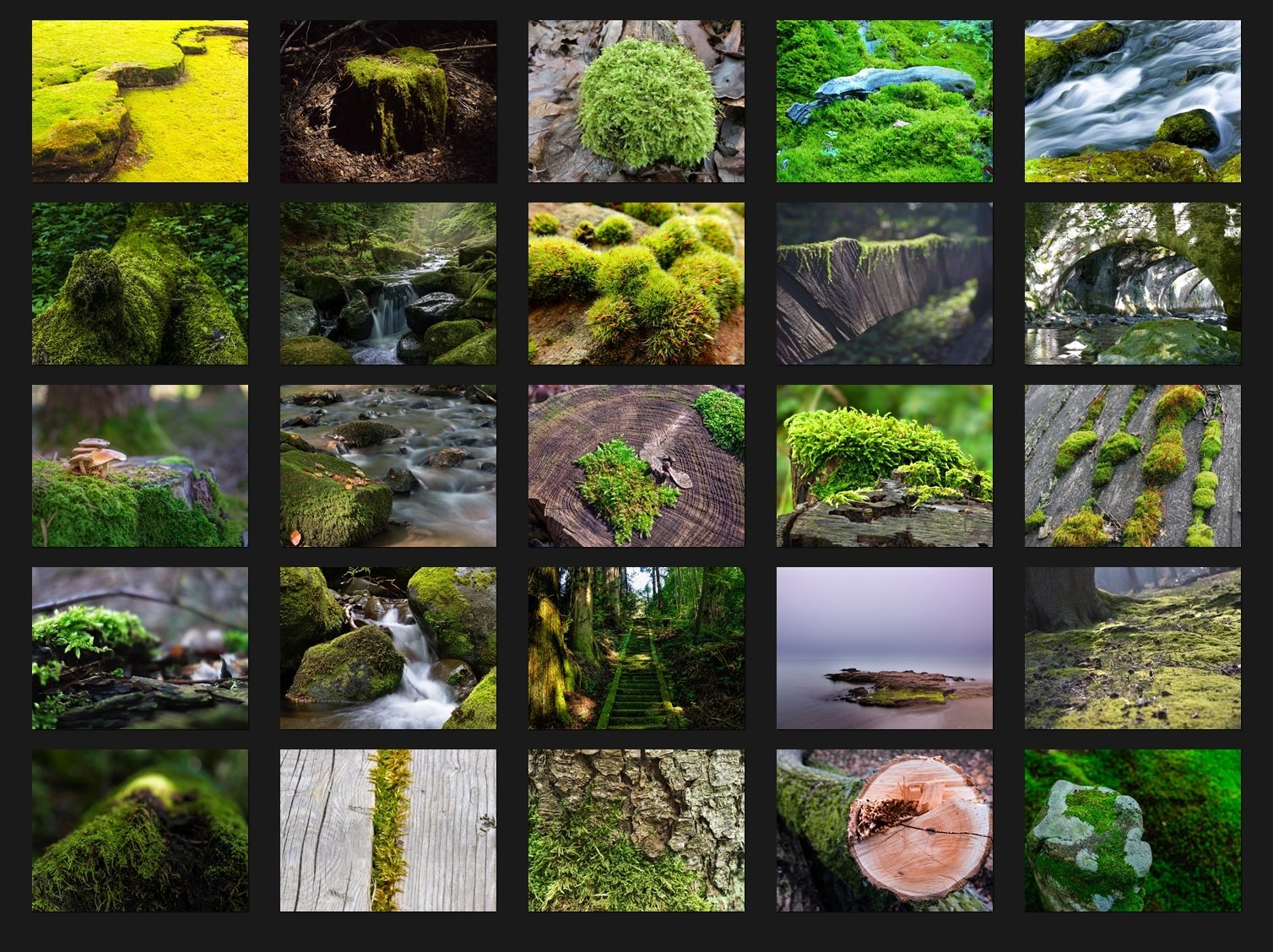 200 MOSS DIGITAL PHOTOSHOP OVERLAYS, BACKDROPS, BACKGROUNDS (531015 ...
