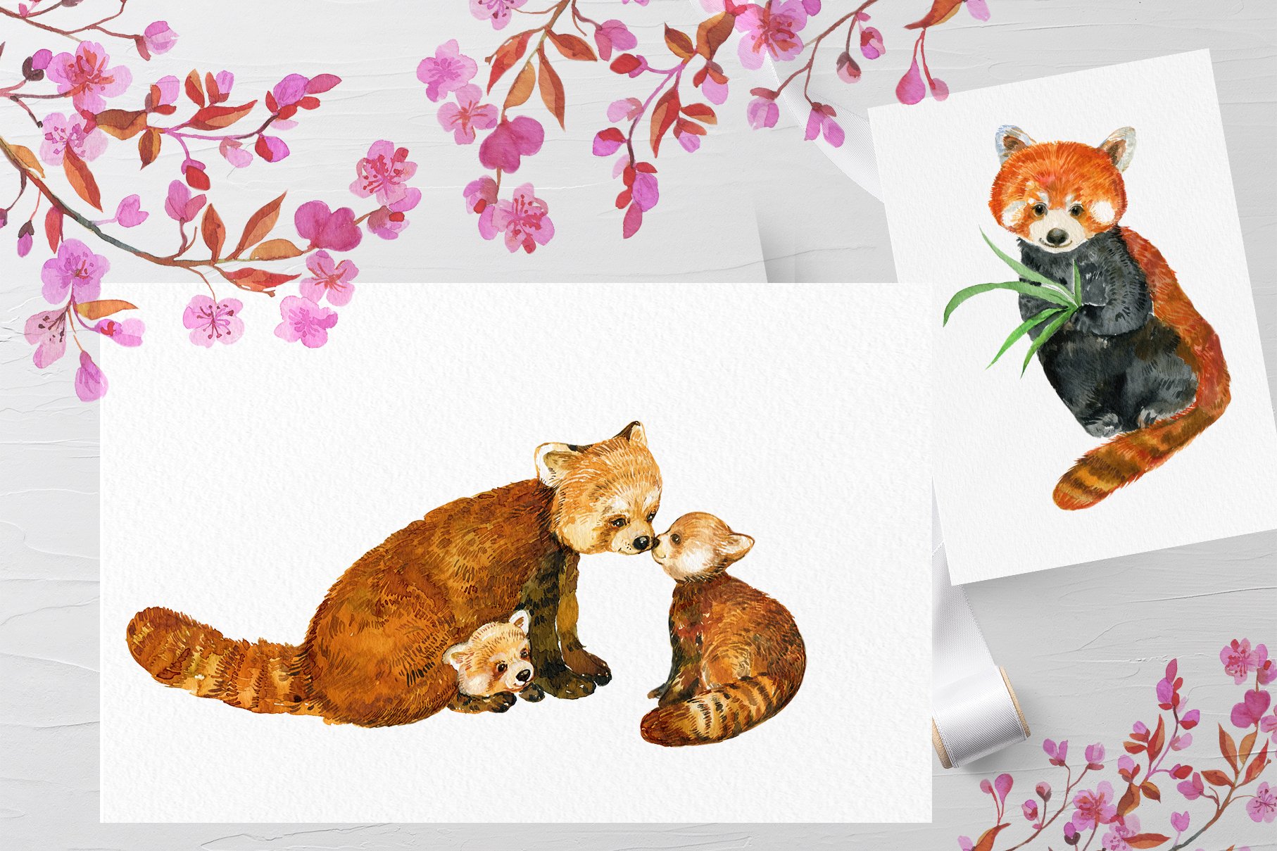 Red Panda ,watercolor illustrations (246812) | Illustrations | Design ...