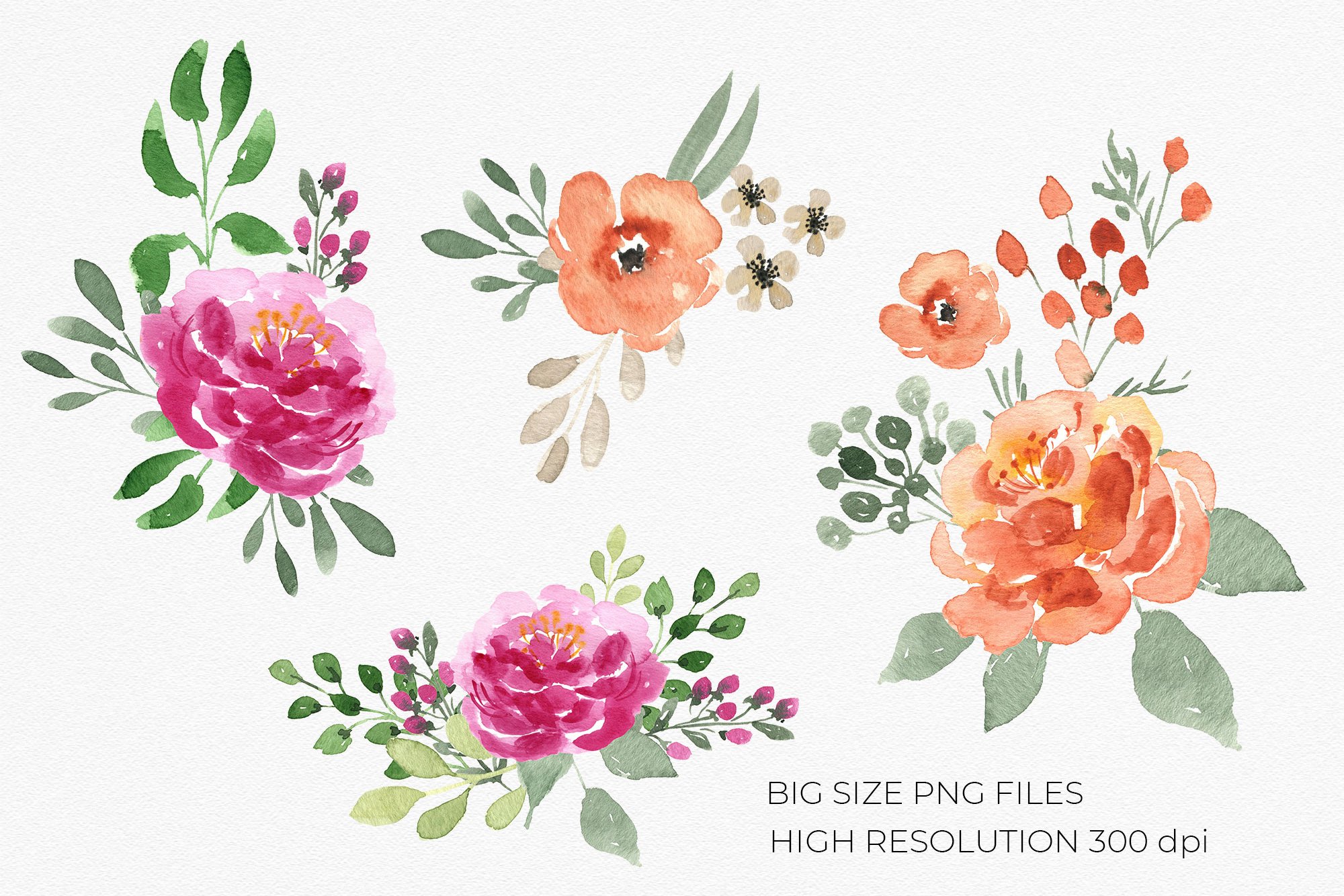 FLORIDA Watercolor Floral Cliparts (567140) | Illustrations | Design ...