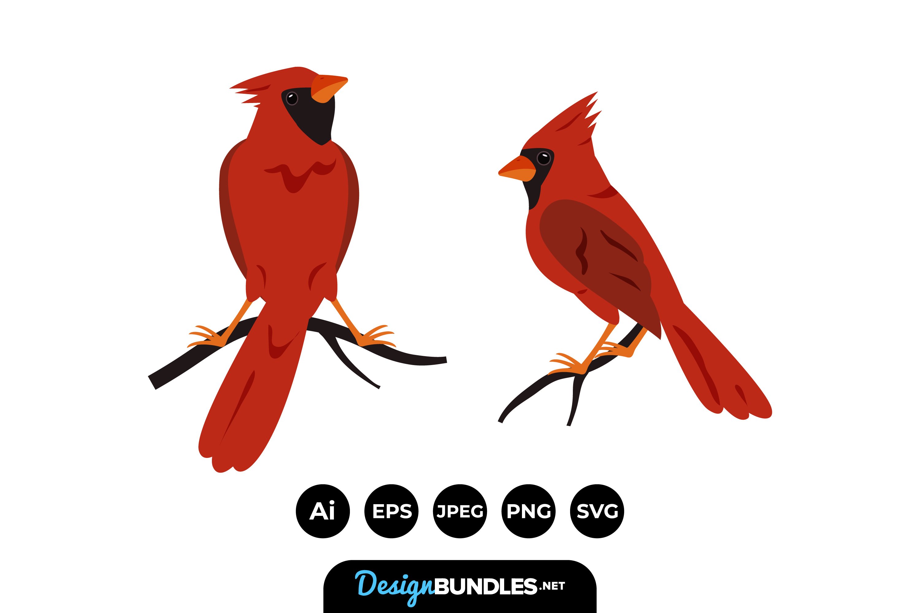 Cardinal Illustrations
