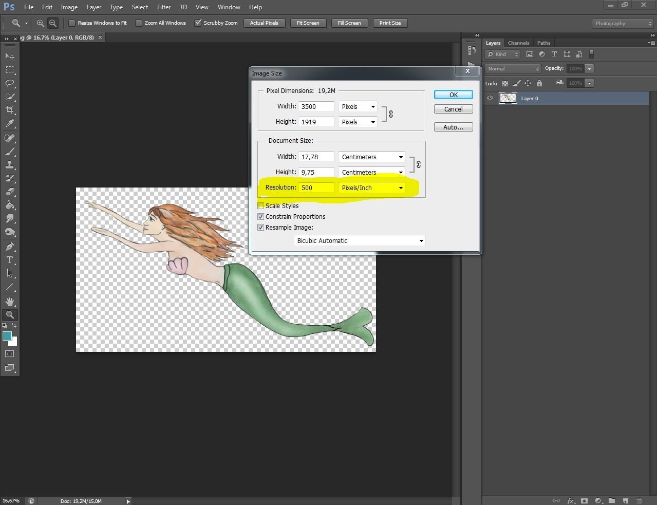 Mermaid clipart SVG PNG with ocean animals (156576) | Illustrations ...