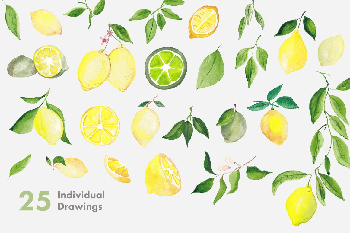 Lemons & Limes Watercolor Collection (916982) | Illustrations | Design ...