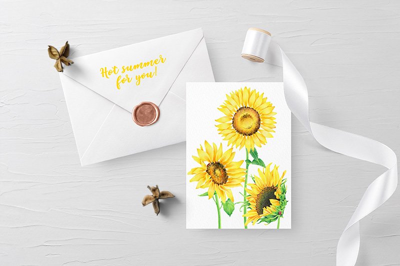 Sunflower (731597) | Illustrations | Design Bundles
