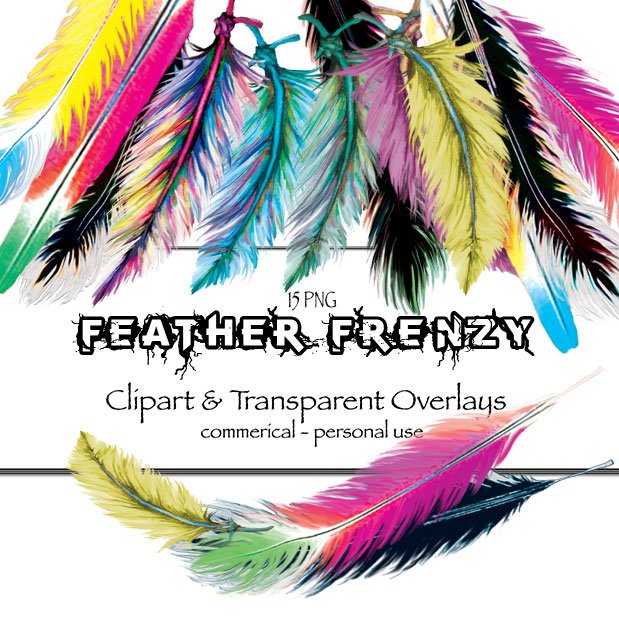 Watercolor Confetti Arrows with Feathers & Beads (24662 ...