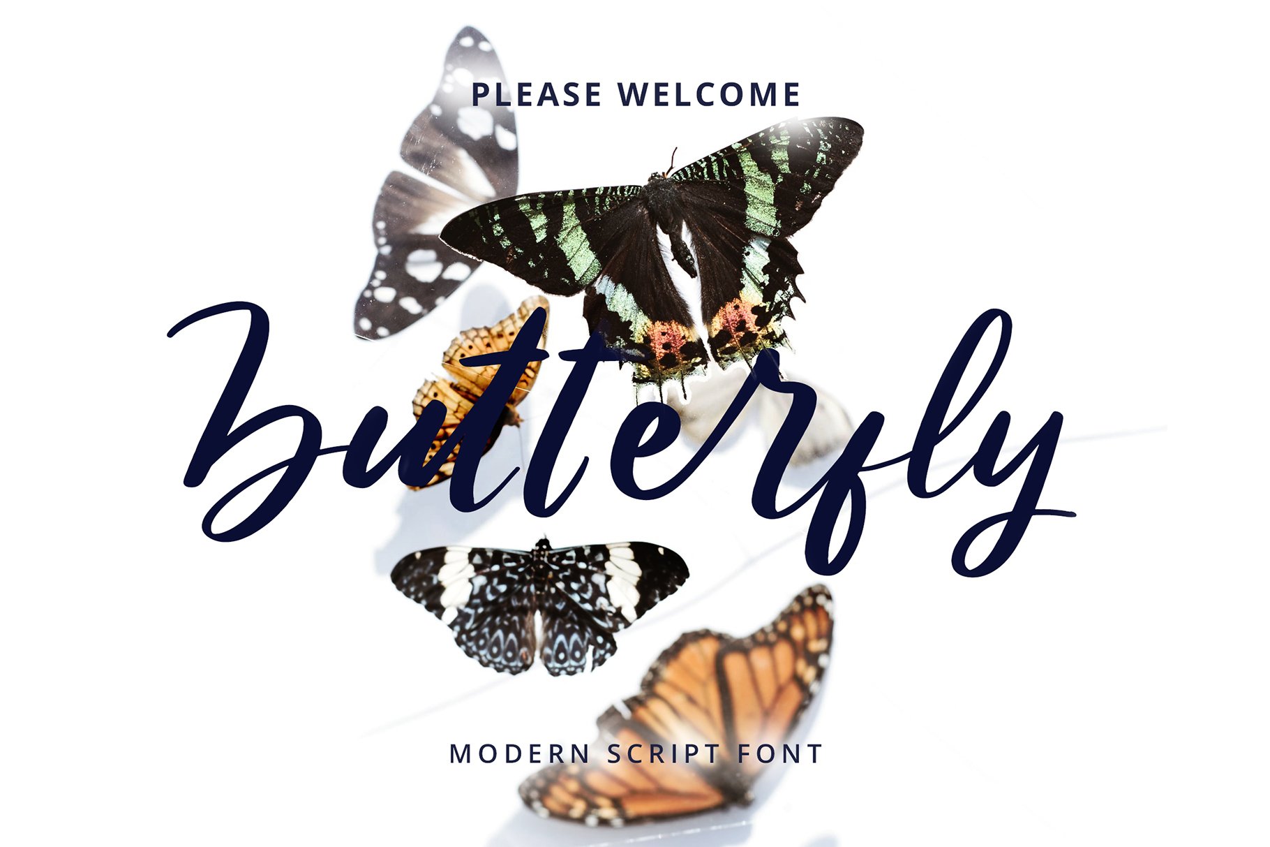 Butterfly Modern Script Font (536497) | Handwritten | Font Bundles
