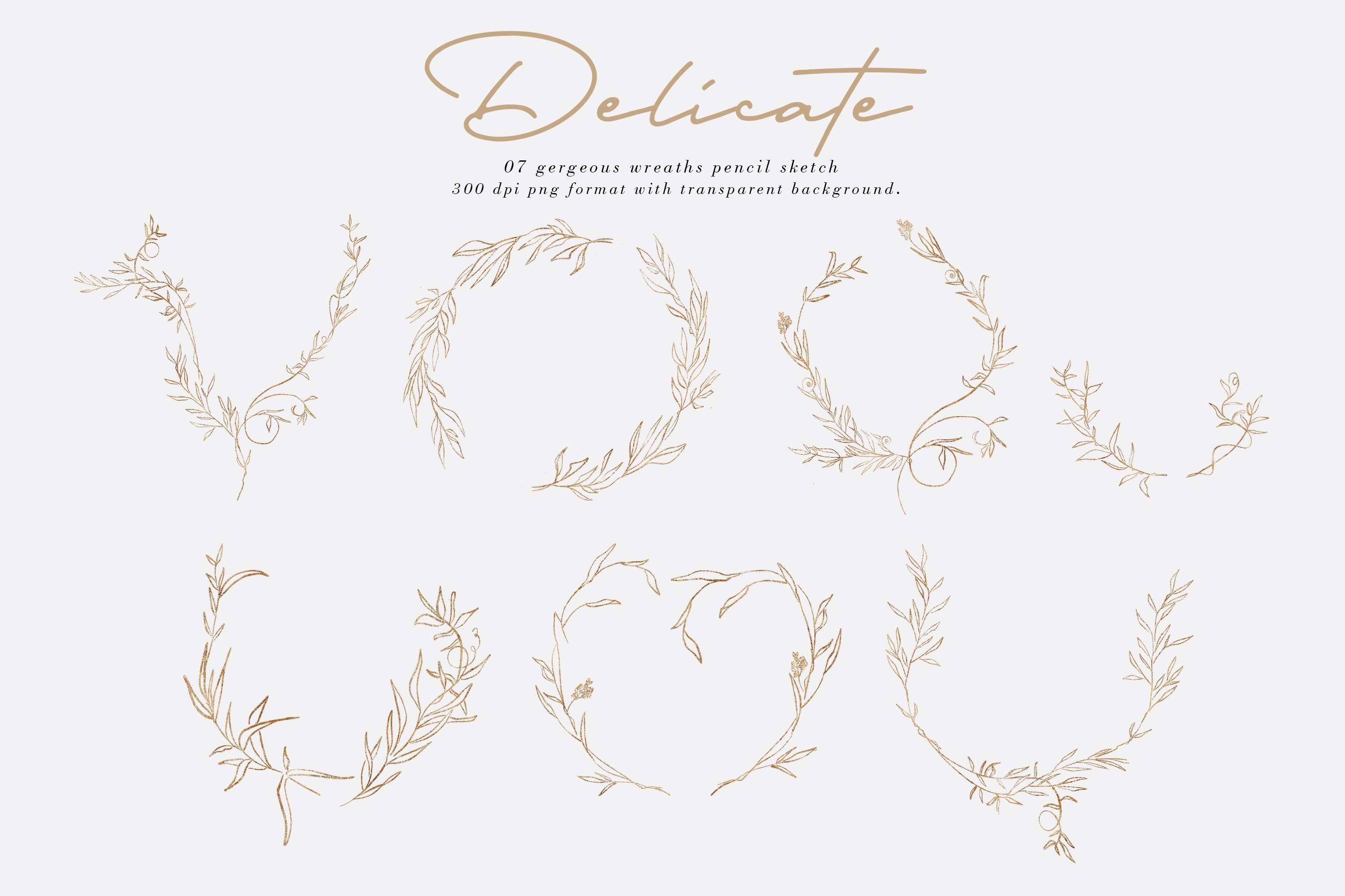 Delicate | Leafs Drawings (518625) | Illustrations | Design Bundles