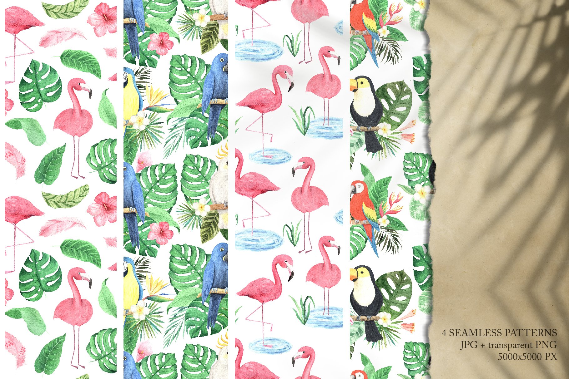 Watercolor Tropical Birds Set (425299) | Illustrations | Design Bundles