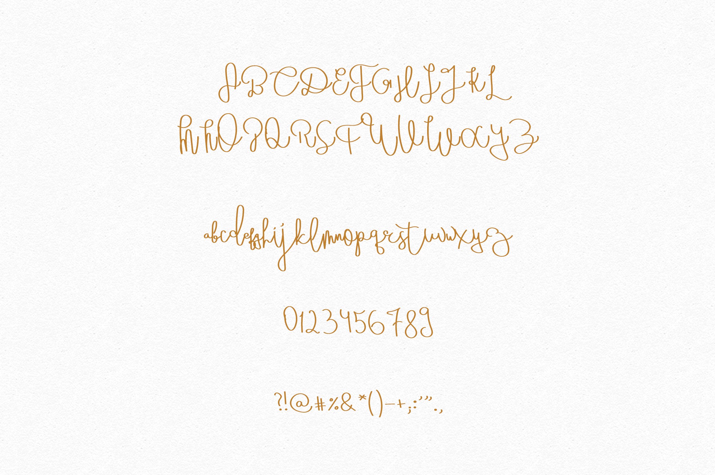 Octopus font (26107) | Script | Font Bundles