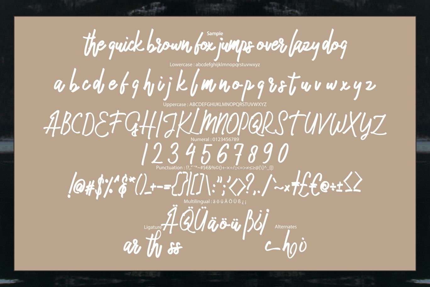 Malikec | Mono Script Font (534073) | Script | Font Bundles