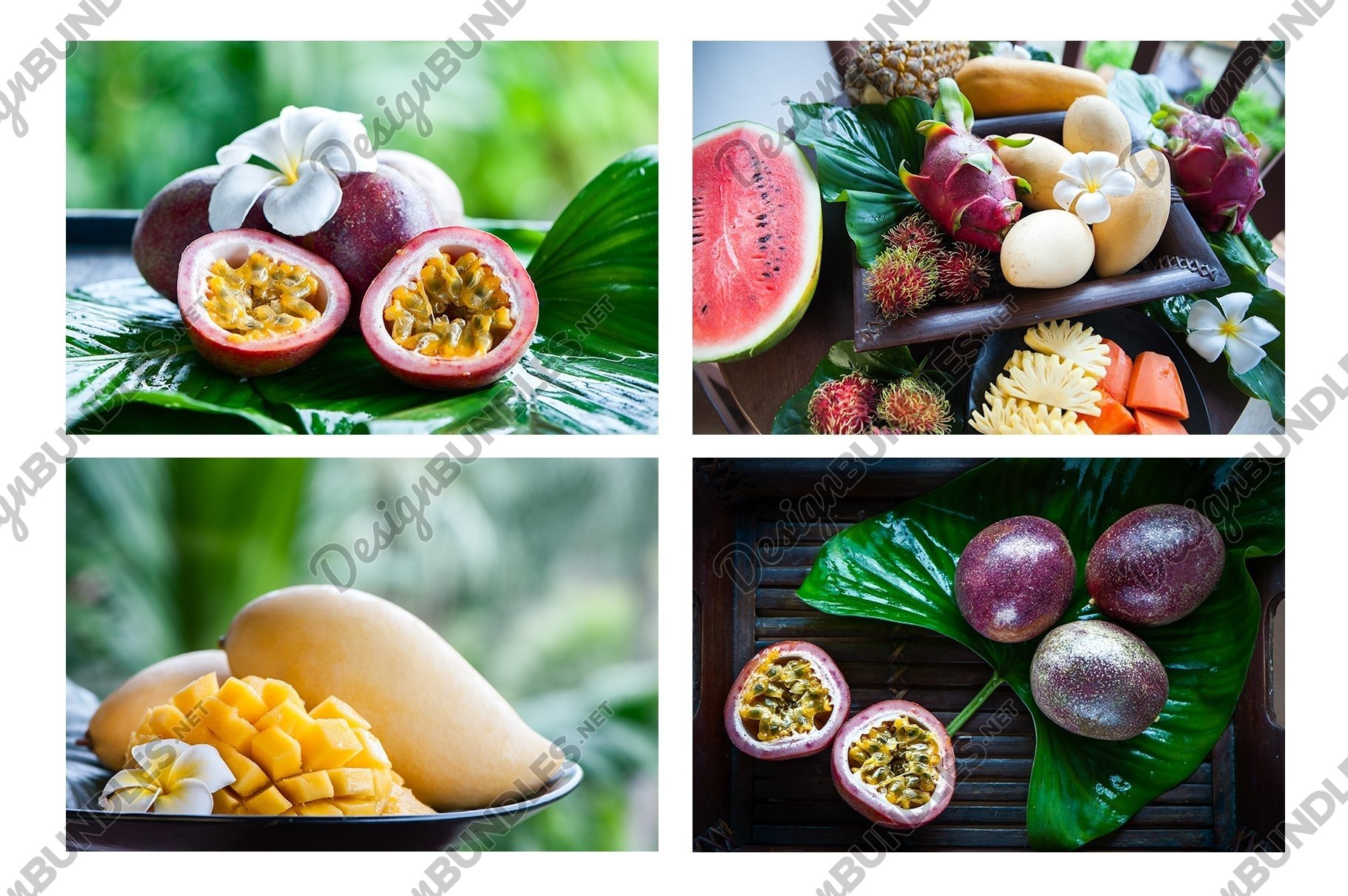Tropical Fruits Bundle 26JPG (806850) | Food and Drink | Design Bundles