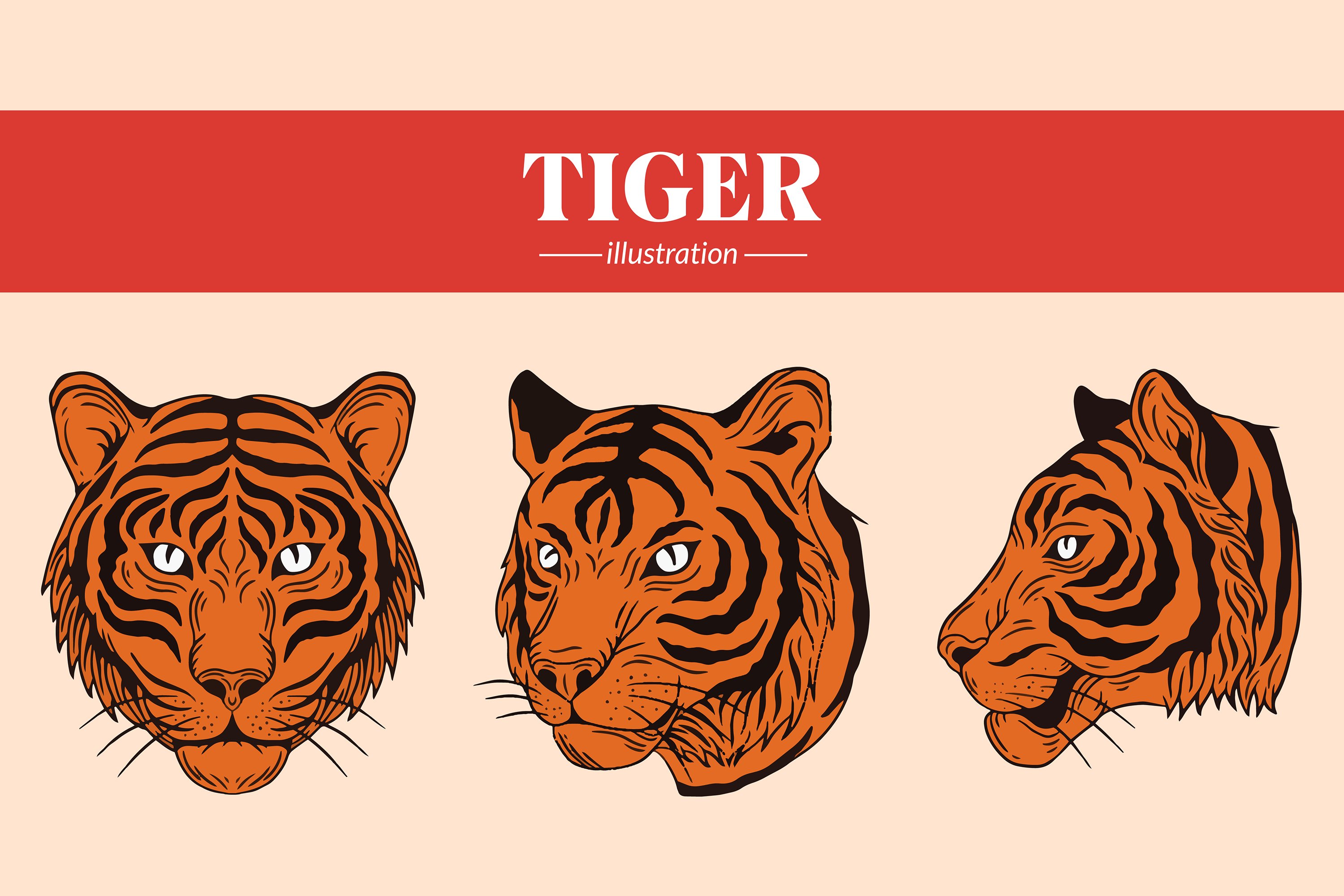 Tiger Side View Vector