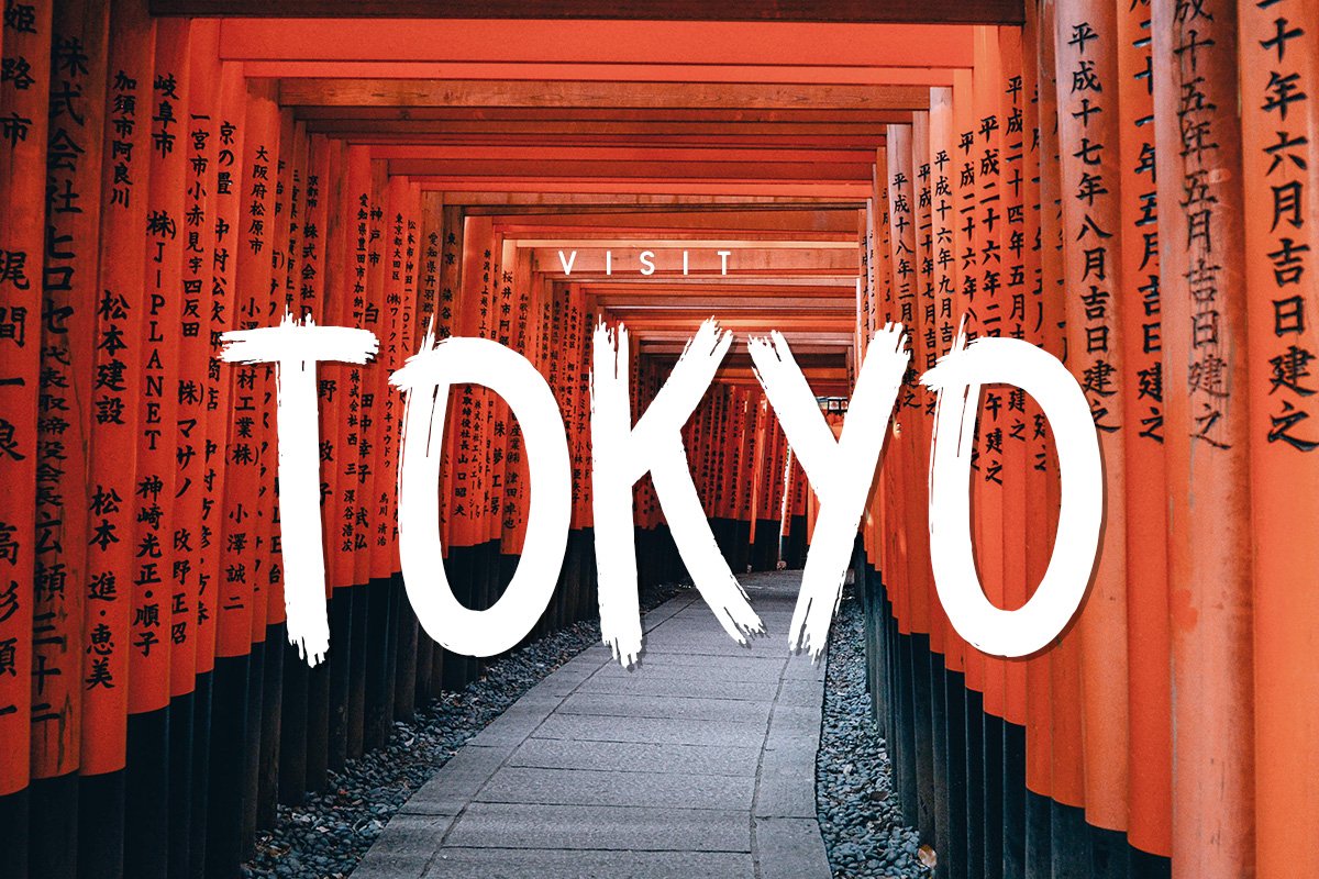 Robin (53634) | Script | Font Bundles