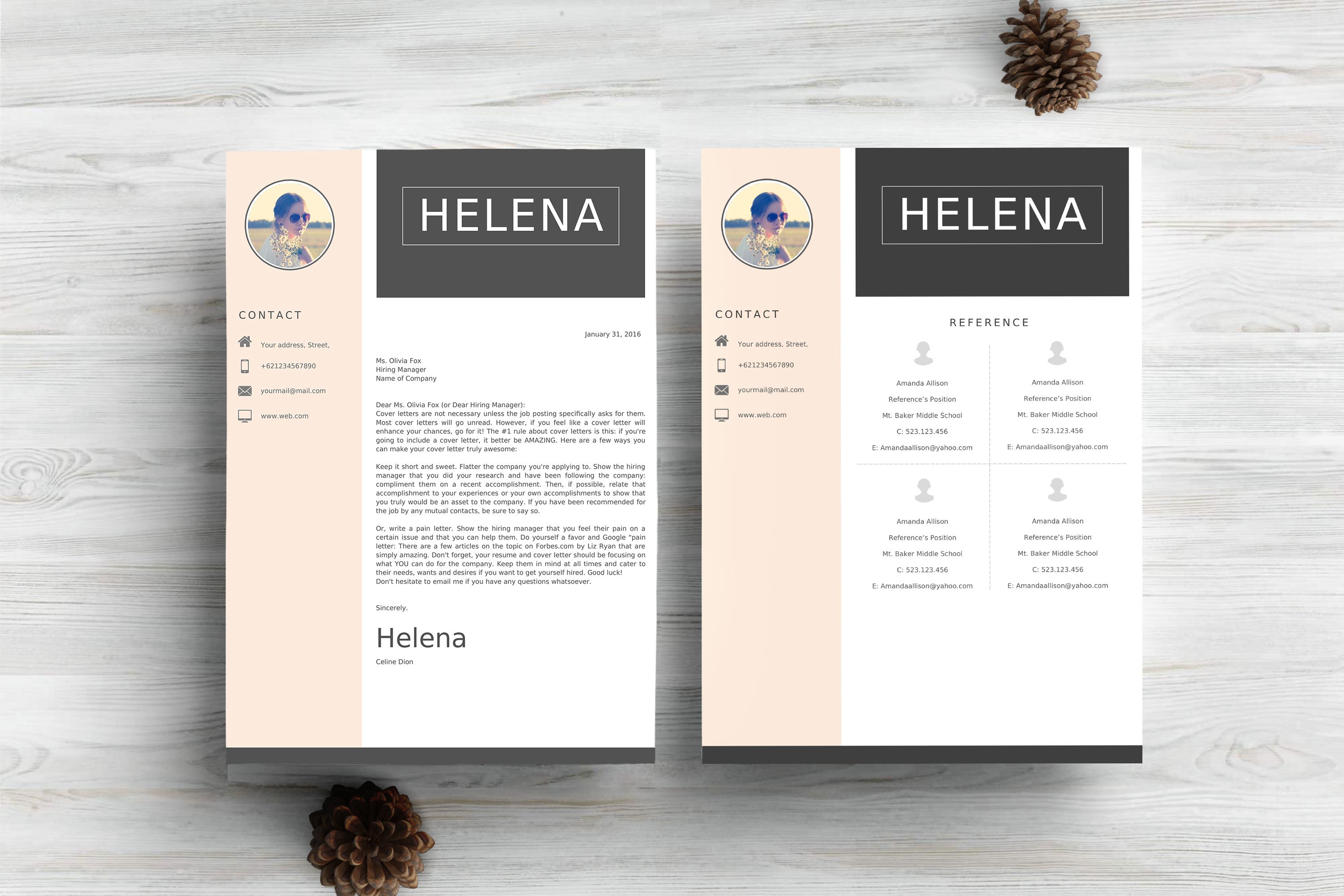 Professional Resume Template CV 4 Pages