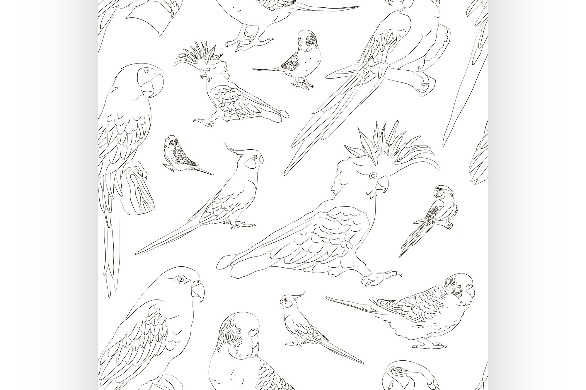 Parrots set pattern (673692) | Illustrations | Design Bundles