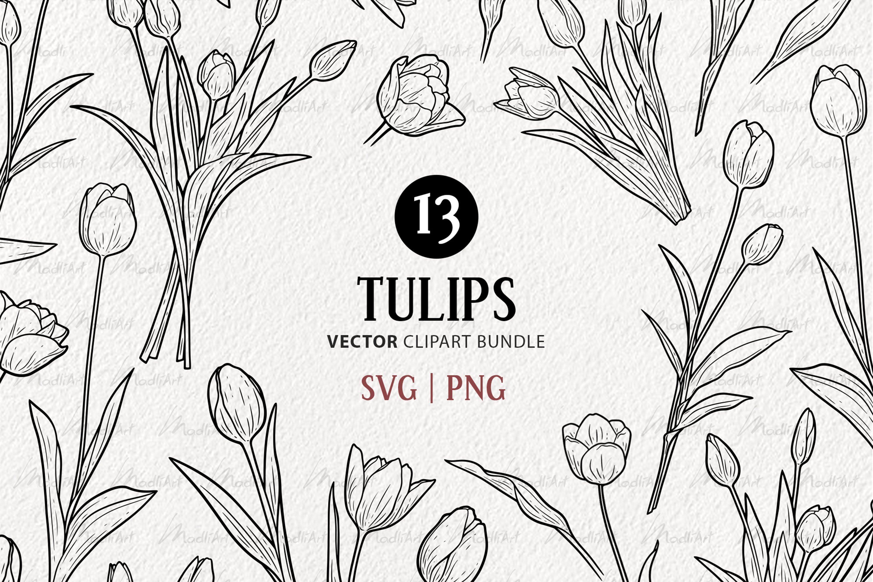 Tulip Flower Outline