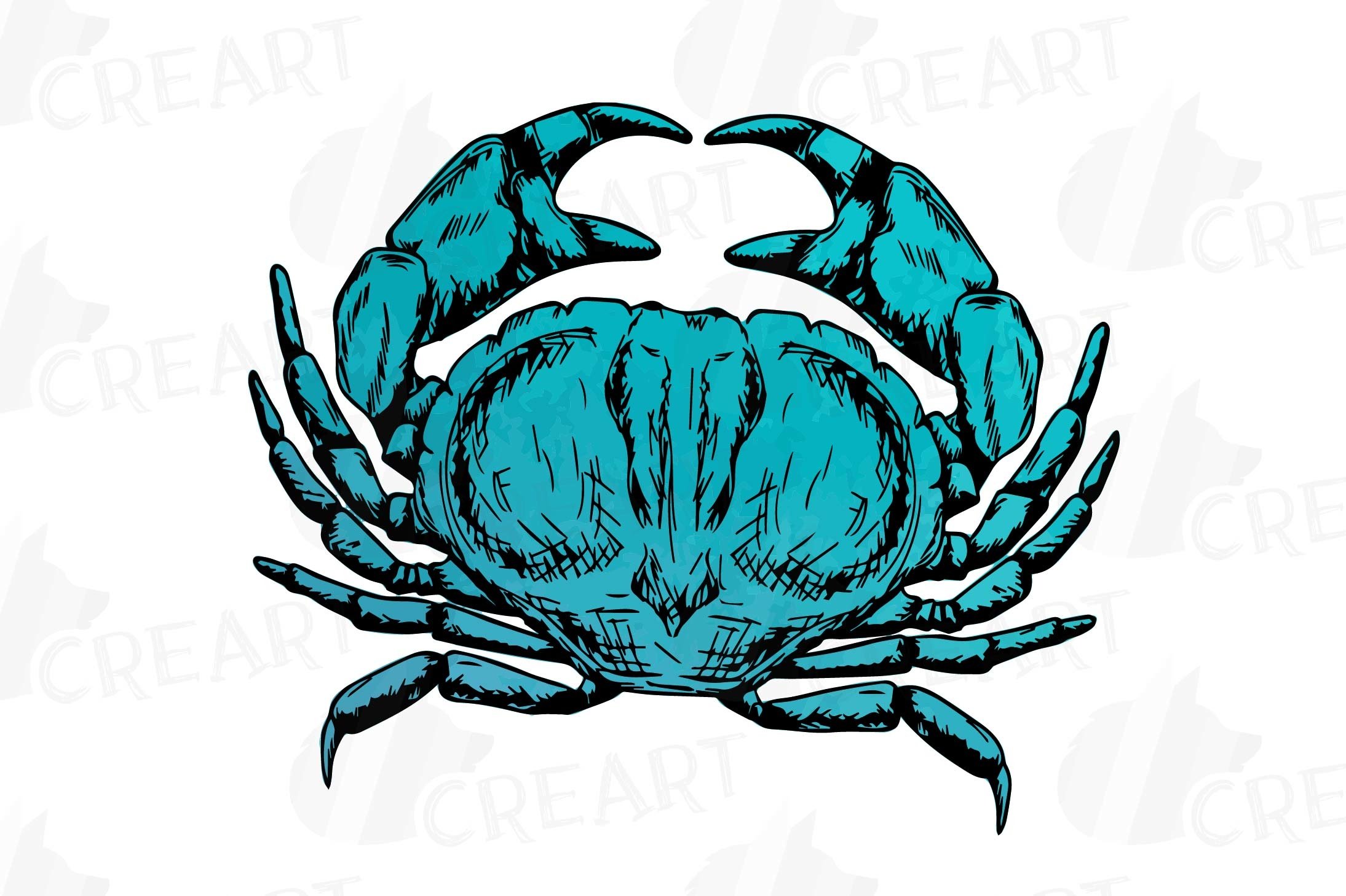 Crabs clip art pack, tropical crab scratch. sea crabs, PNG, (108510 ...