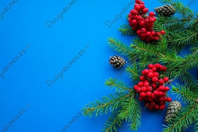 Fir branches, cones, Rowan berries. Blue background. JPG (2135573) | Holiday | Design Bundles