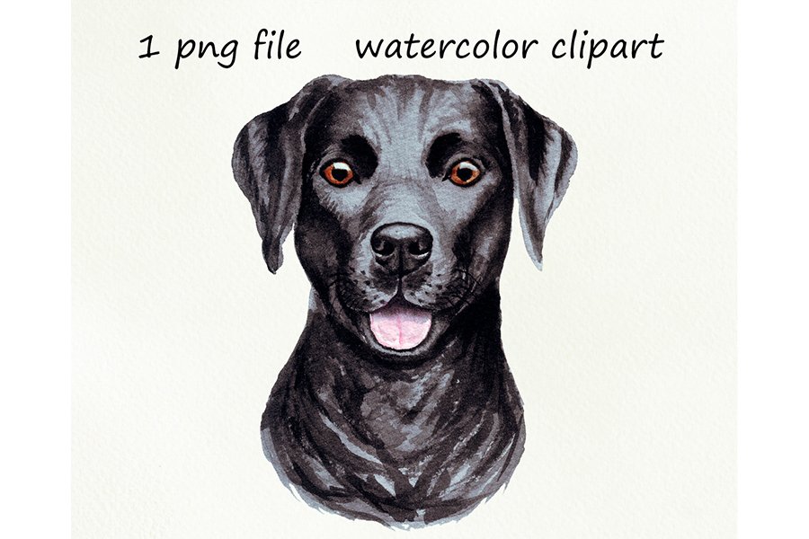 Easy Black Lab Drawing