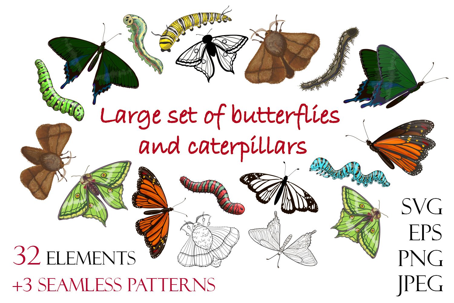 Large set of butterflies and caterpillars (1226343) | Illustrations ...