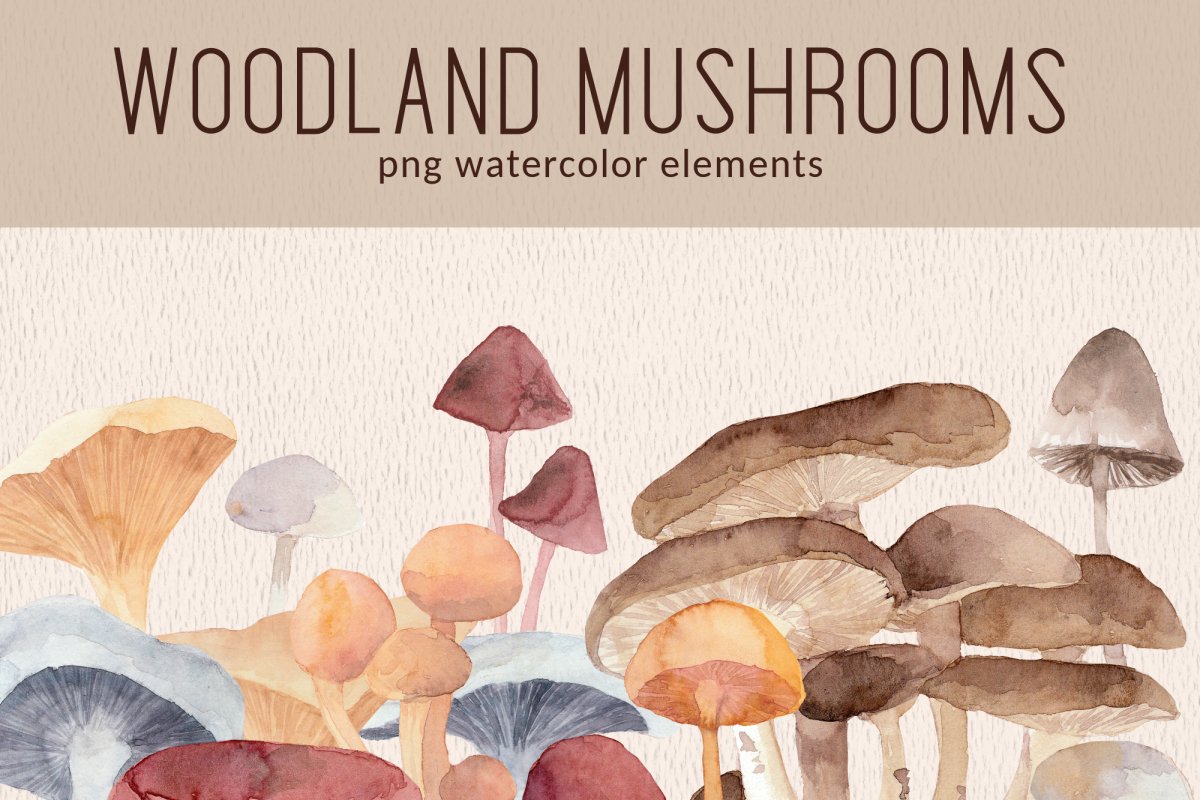Woodland Mushrooms PNG Watercolor Clipart Set (864647) | Illustrations ...