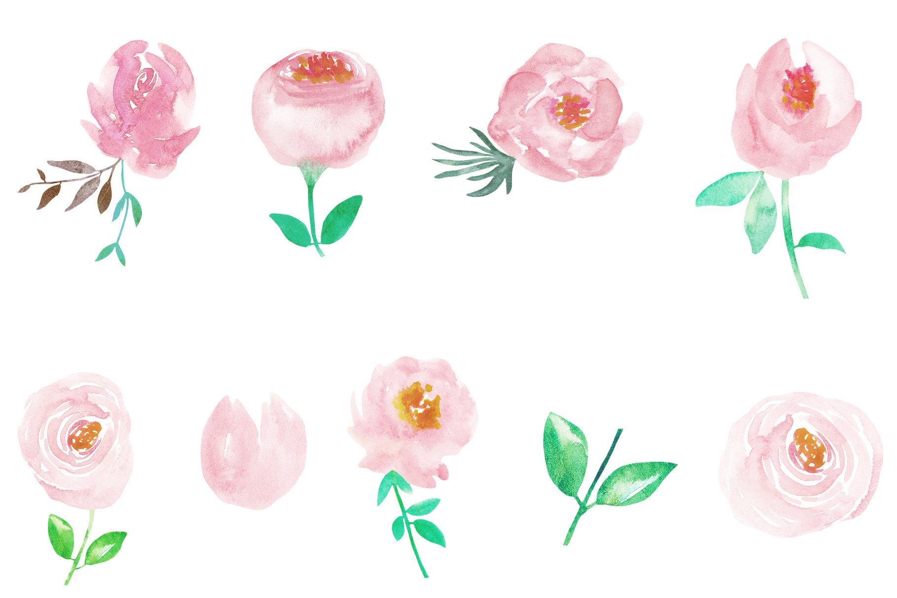 Watercolor Flower Peonies Clipart, Watercolor Roses (523492 ...