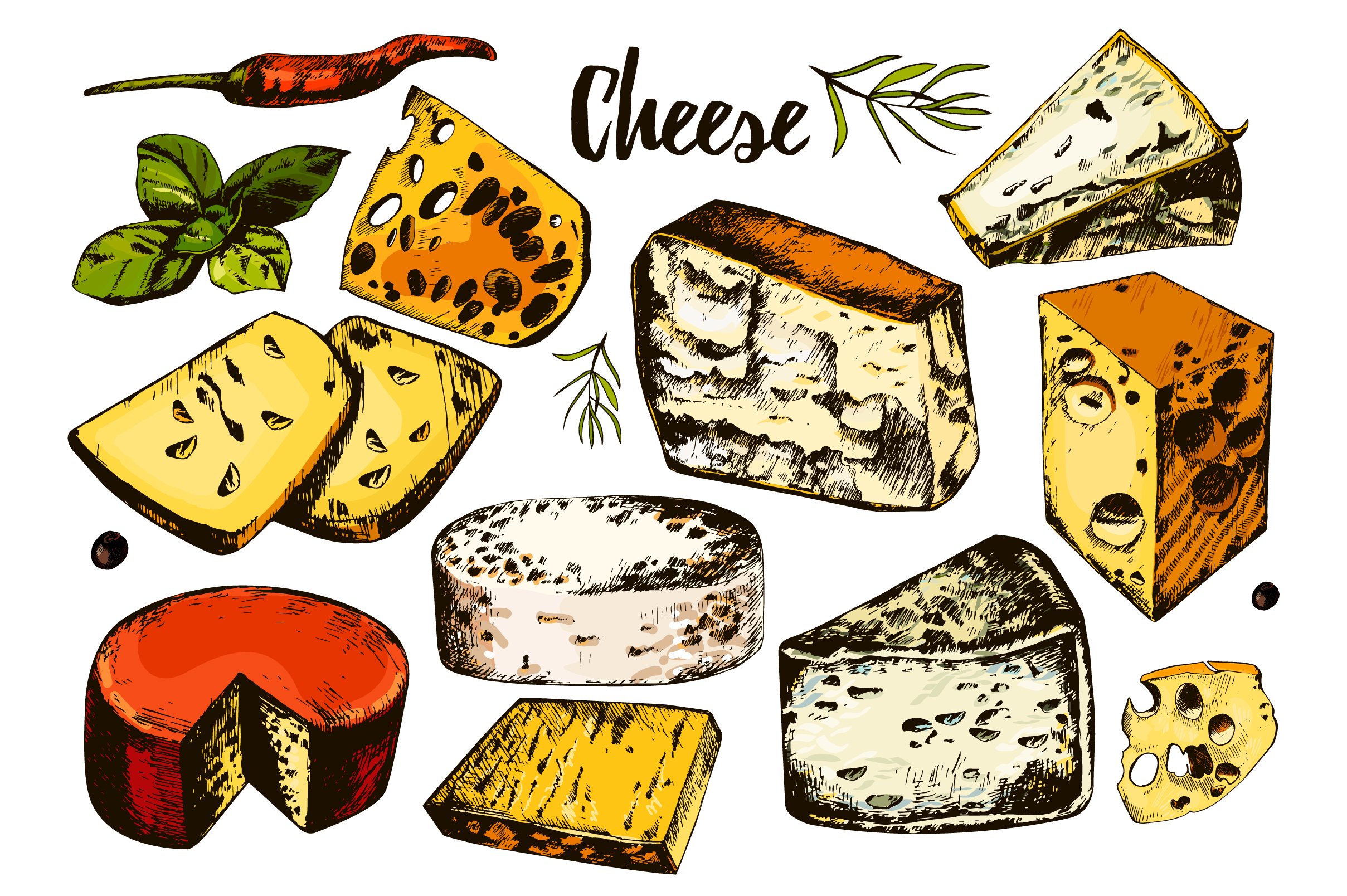 Collection of hand drawing cheeses