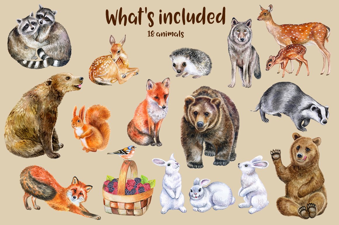 Forest animals. Watercolor (515119) | Illustrations | Design Bundles