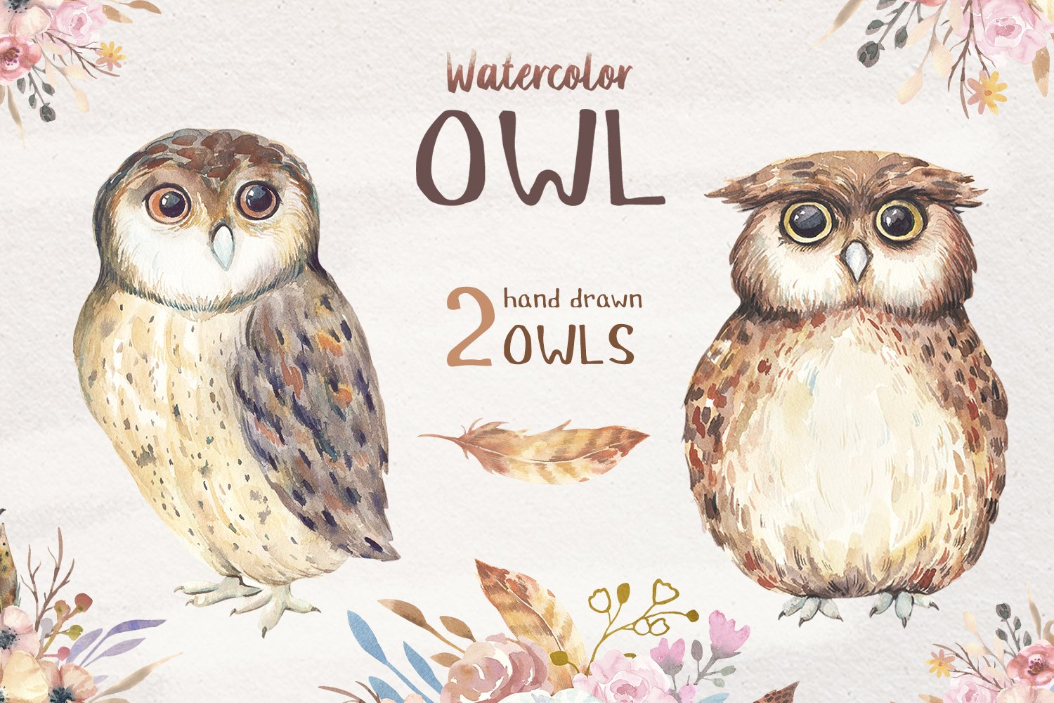 Watercolor Owl Feather