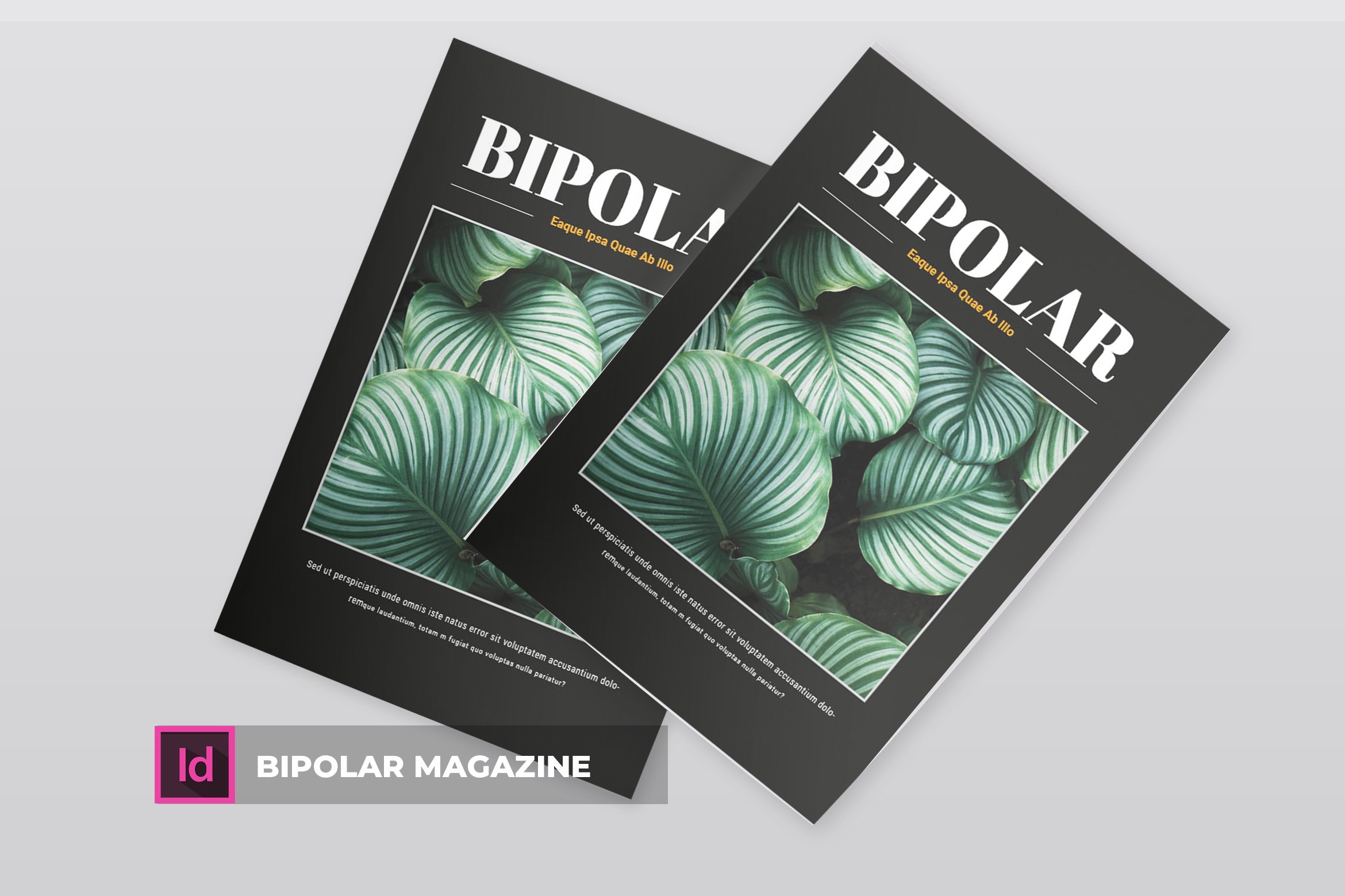Bipolar | Magazine (777336) | Magazines | Design Bundles