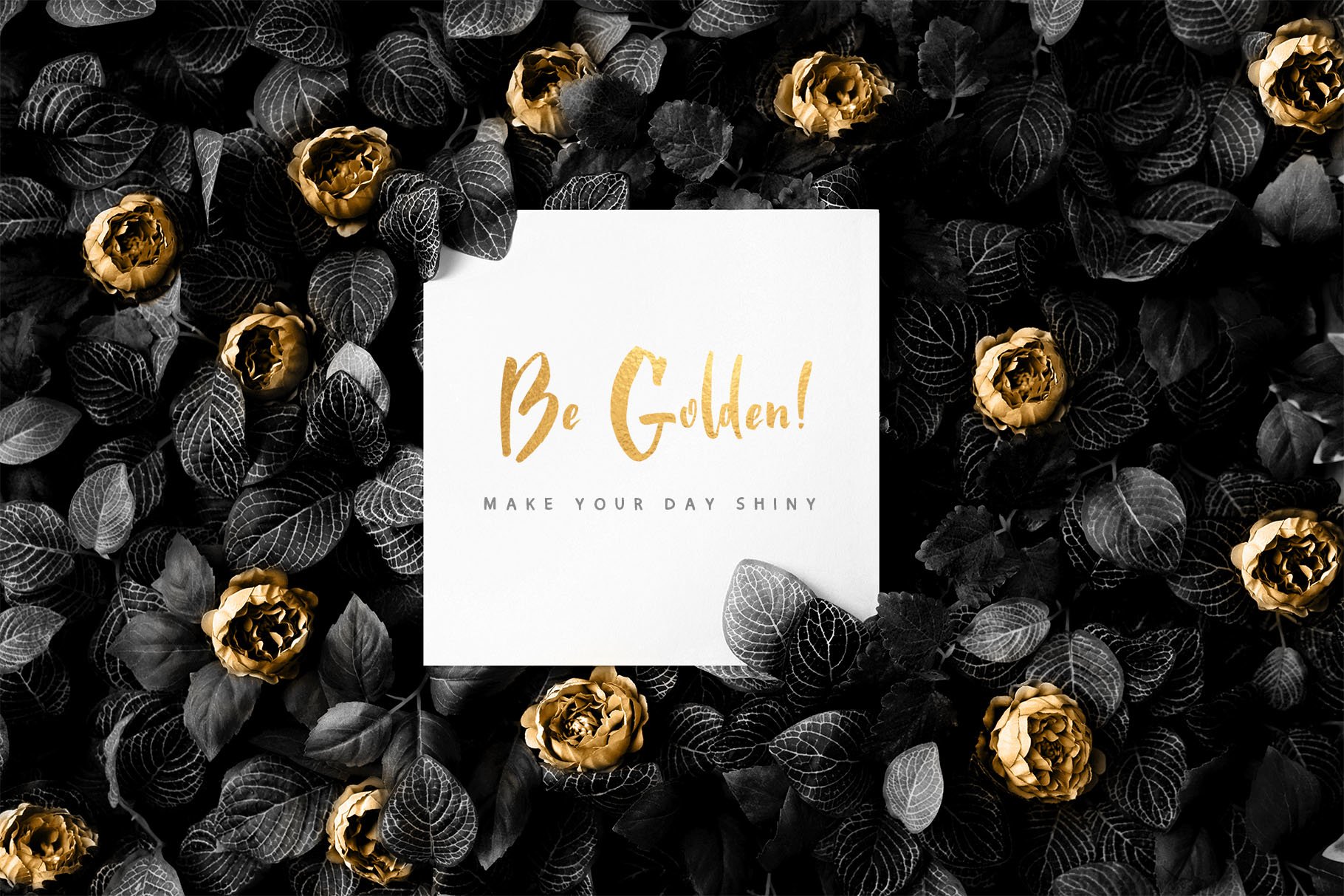 Golden Night script font (379169) | Script | Font Bundles