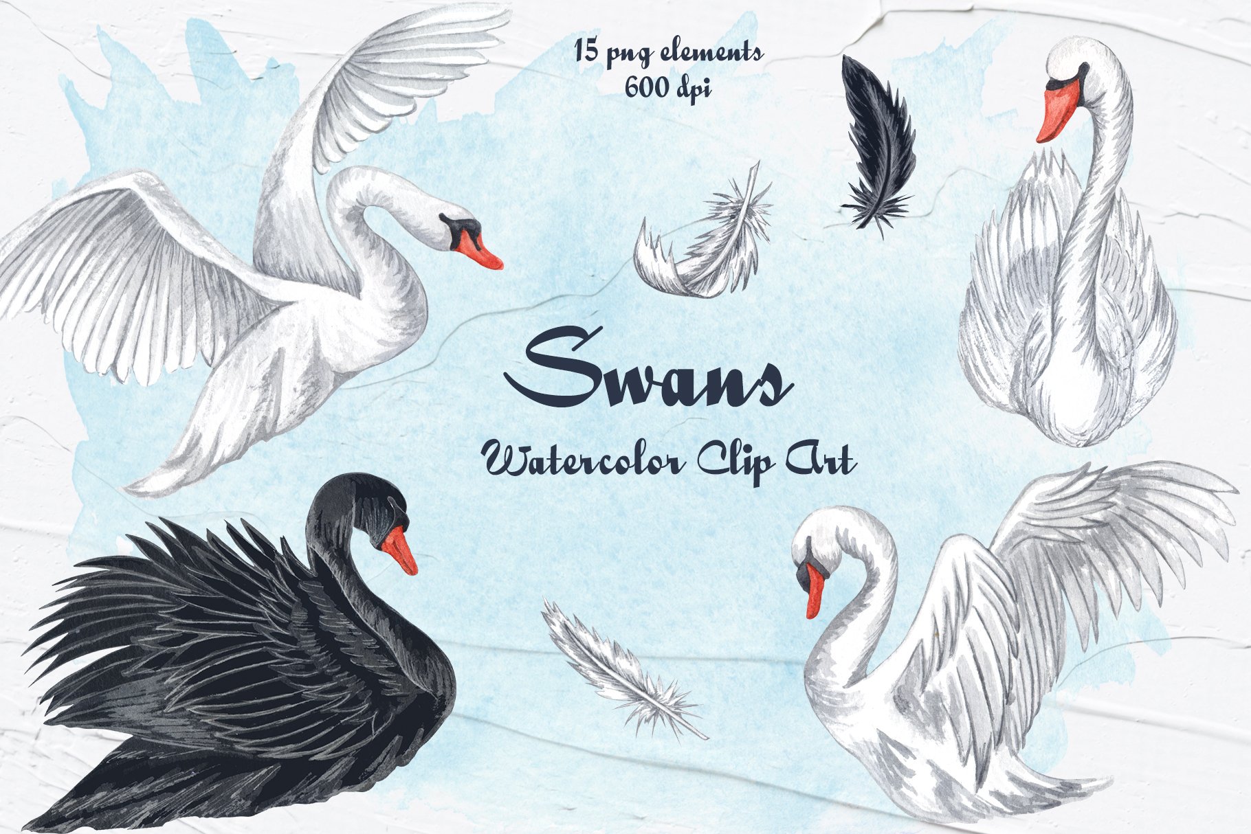 Seven Swans A Swimming Clipart