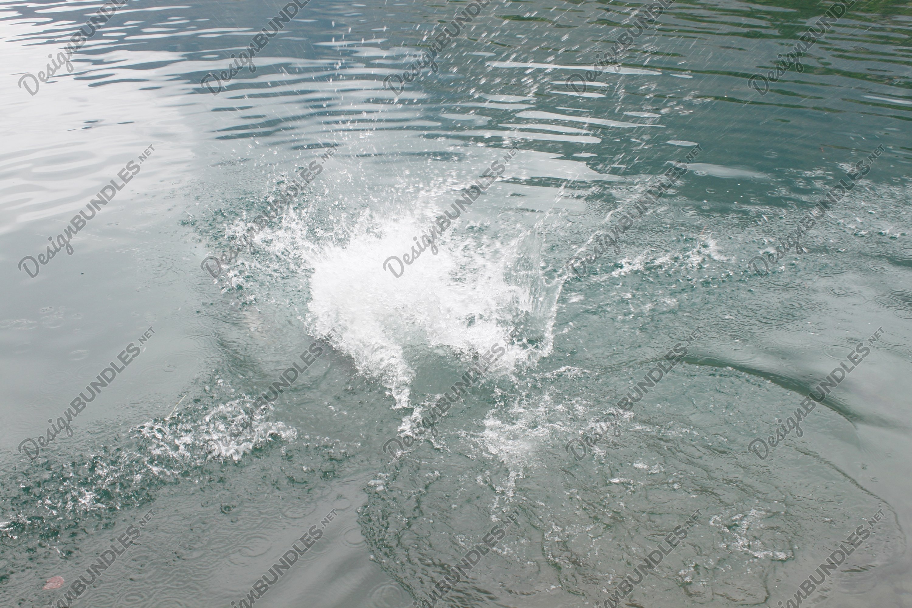 Closeup shot of a beautiful lake (1717168) | Nature | Design Bundles