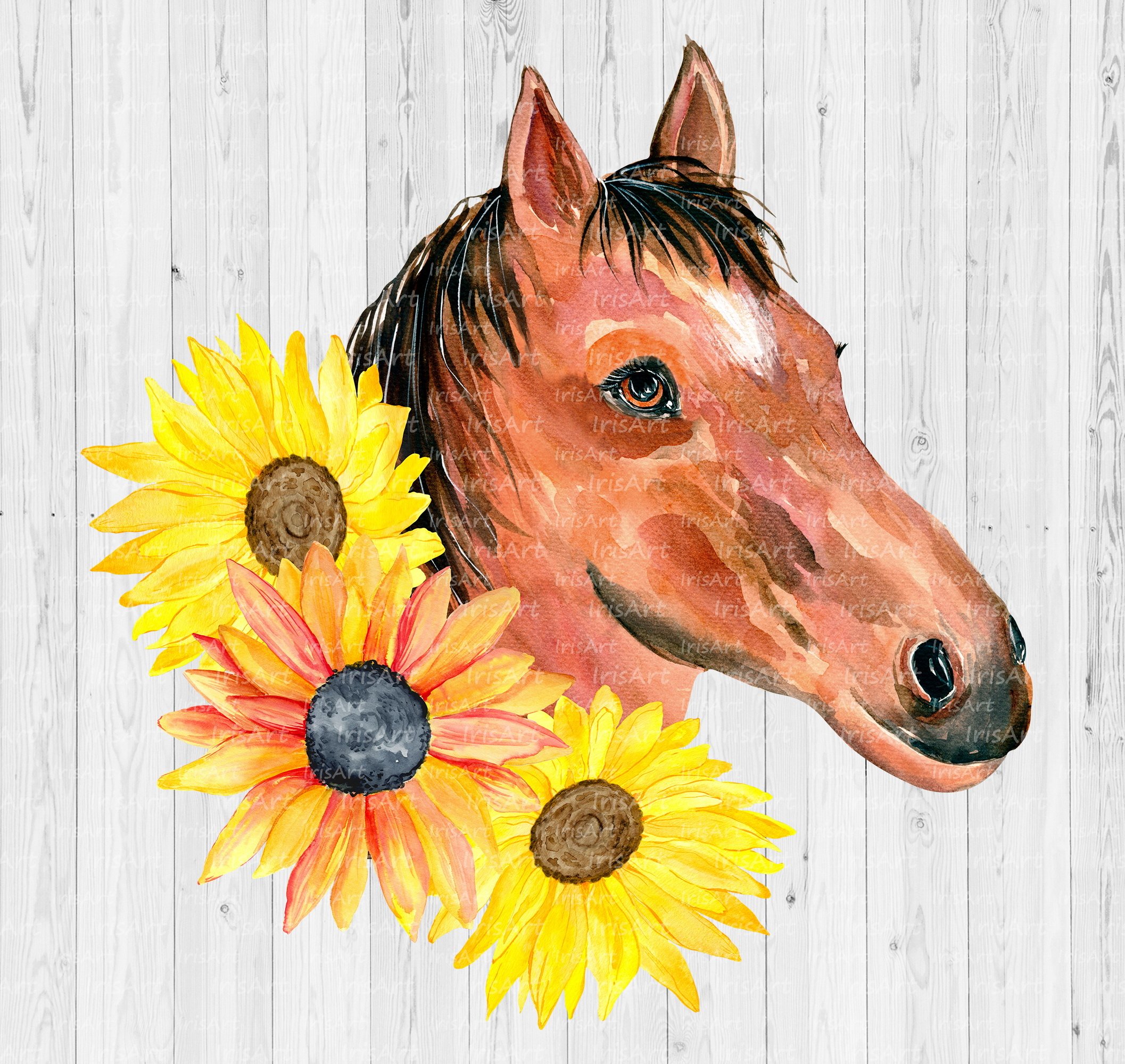 Watercolor Horse & Sunflowers Sublimation Design (919520 ...