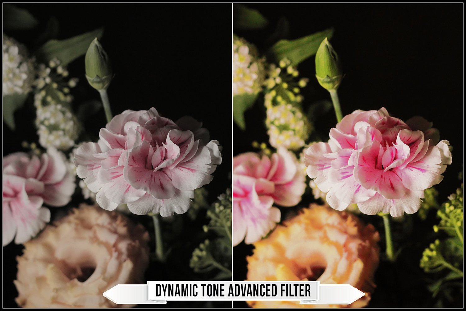 Fuji Film Simulation Modes Profiles LR 7.3 ACR 10.3 (142291 ...