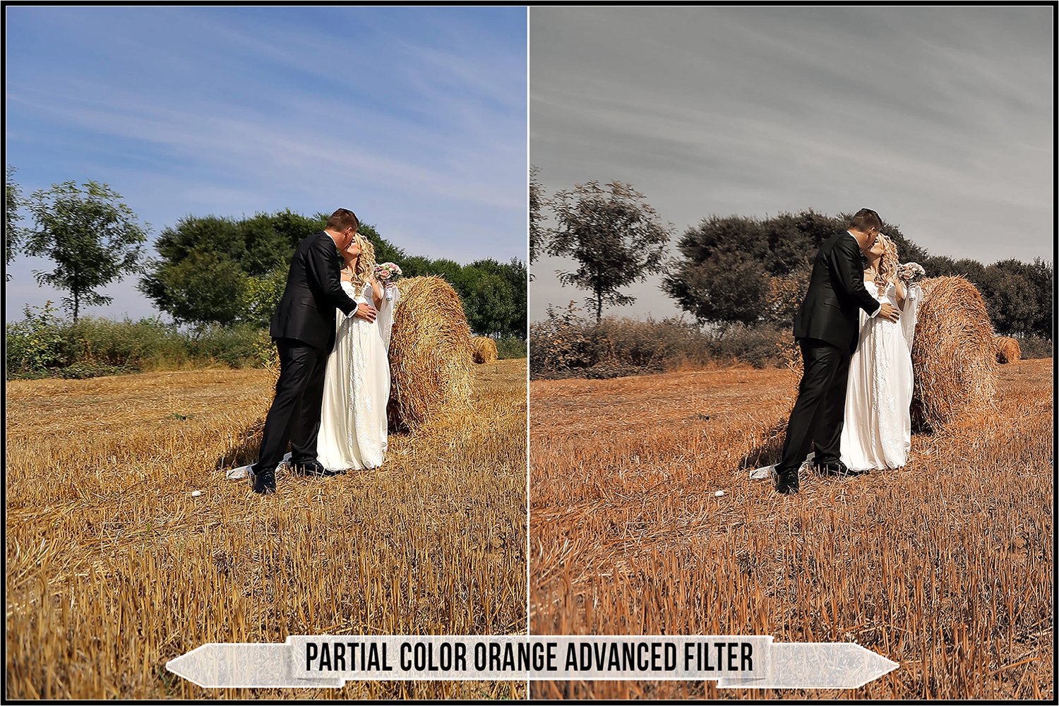 Fuji Film Simulation Modes Profiles LR 7.3 ACR 10.3 (142291 ...