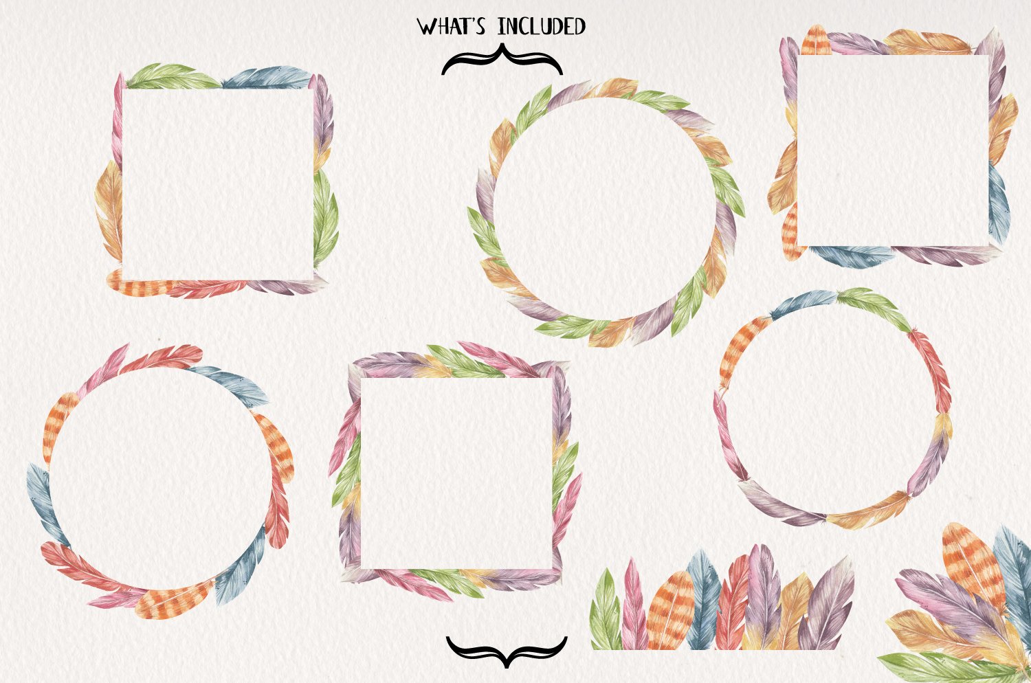 Feathers 8 Frames Watercolors Birds Hand Painted Detailed