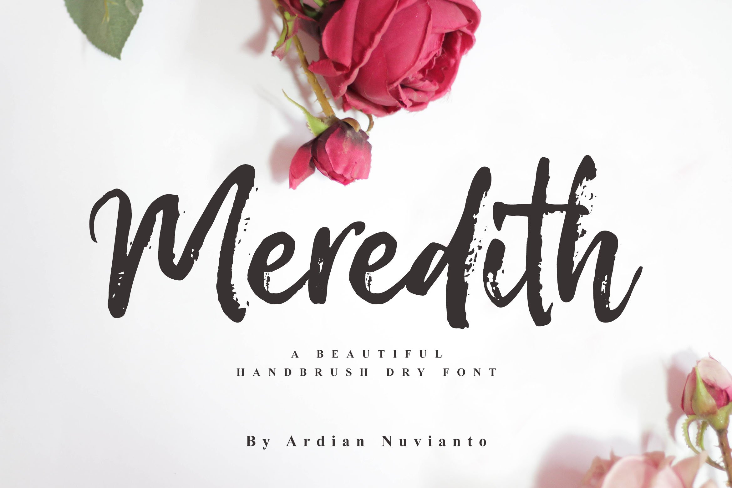 Meredith (387412) | Script | Font Bundles