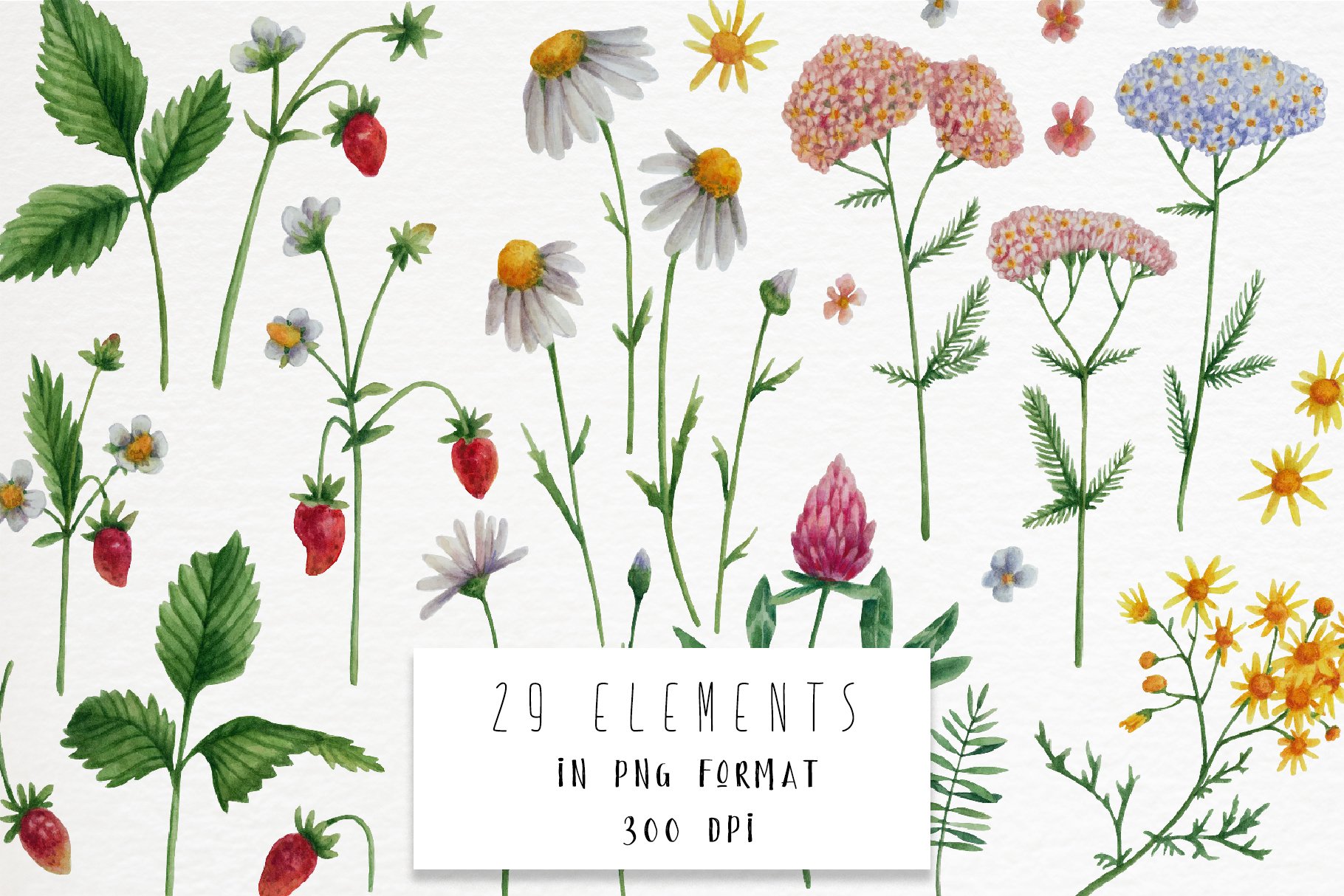 Wild flowers in watercolor (880793) | Illustrations | Design Bundles